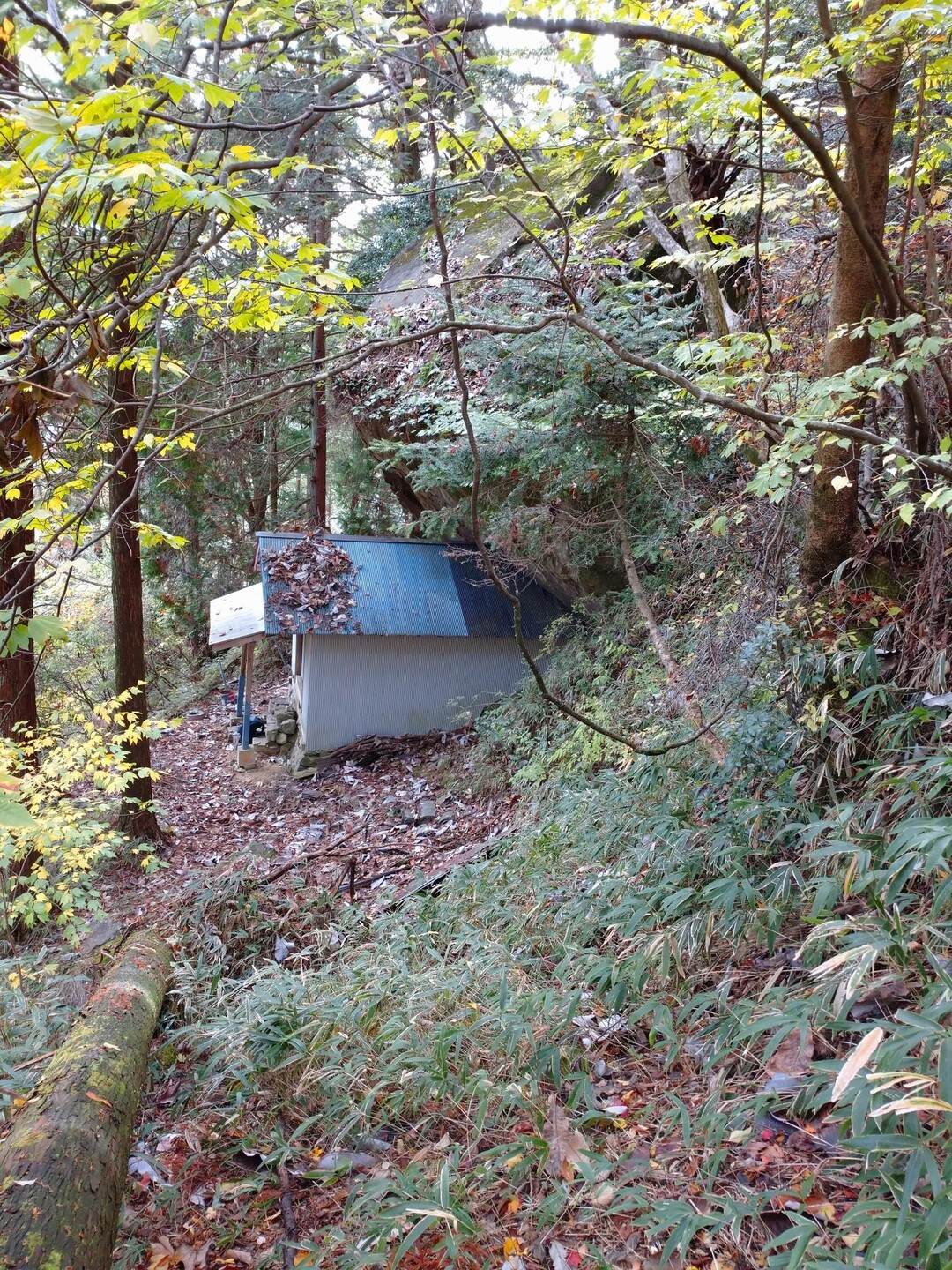 片知山の岩屋観音までです(2) / kaoruさんの高賀山・瓢ヶ岳・片知山の活動データ | YAMAP / ヤマップ