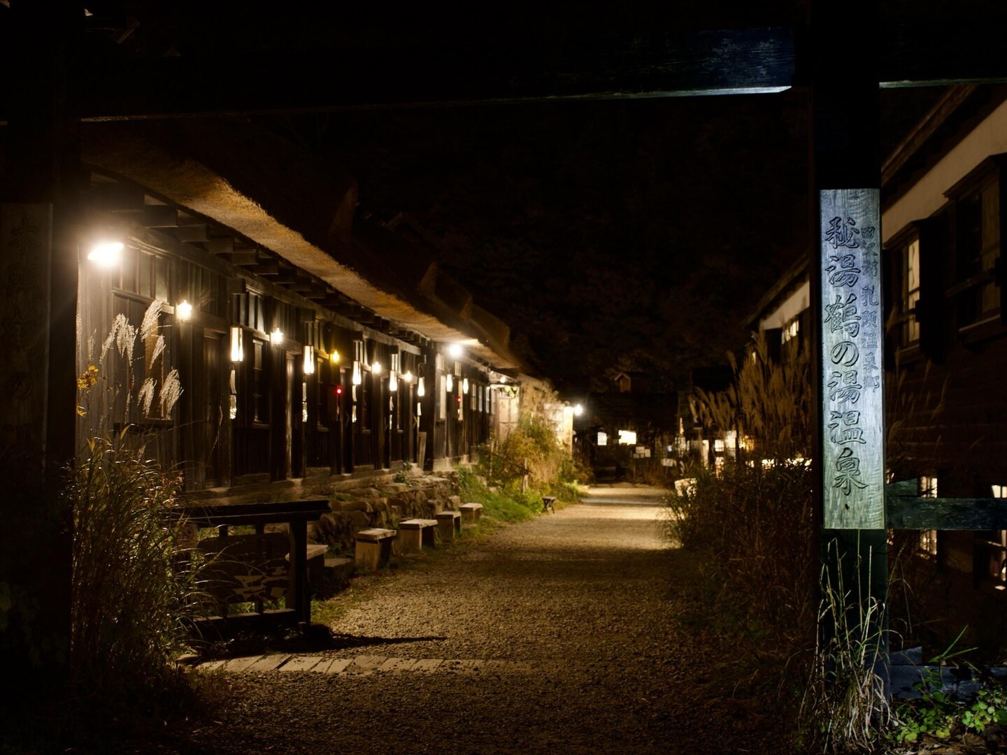 縁あって🌱𓂃 𓈒𓏸 青葉のころ... / Apple-Hoppeさんのモーメント | YAMAP / ヤマップ