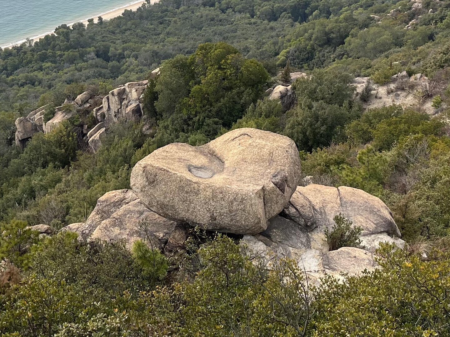 新割山（王子が岳） / kyoroさんの王子が岳・神登山・臥竜山の活動データ | YAMAP / ヤマップ
