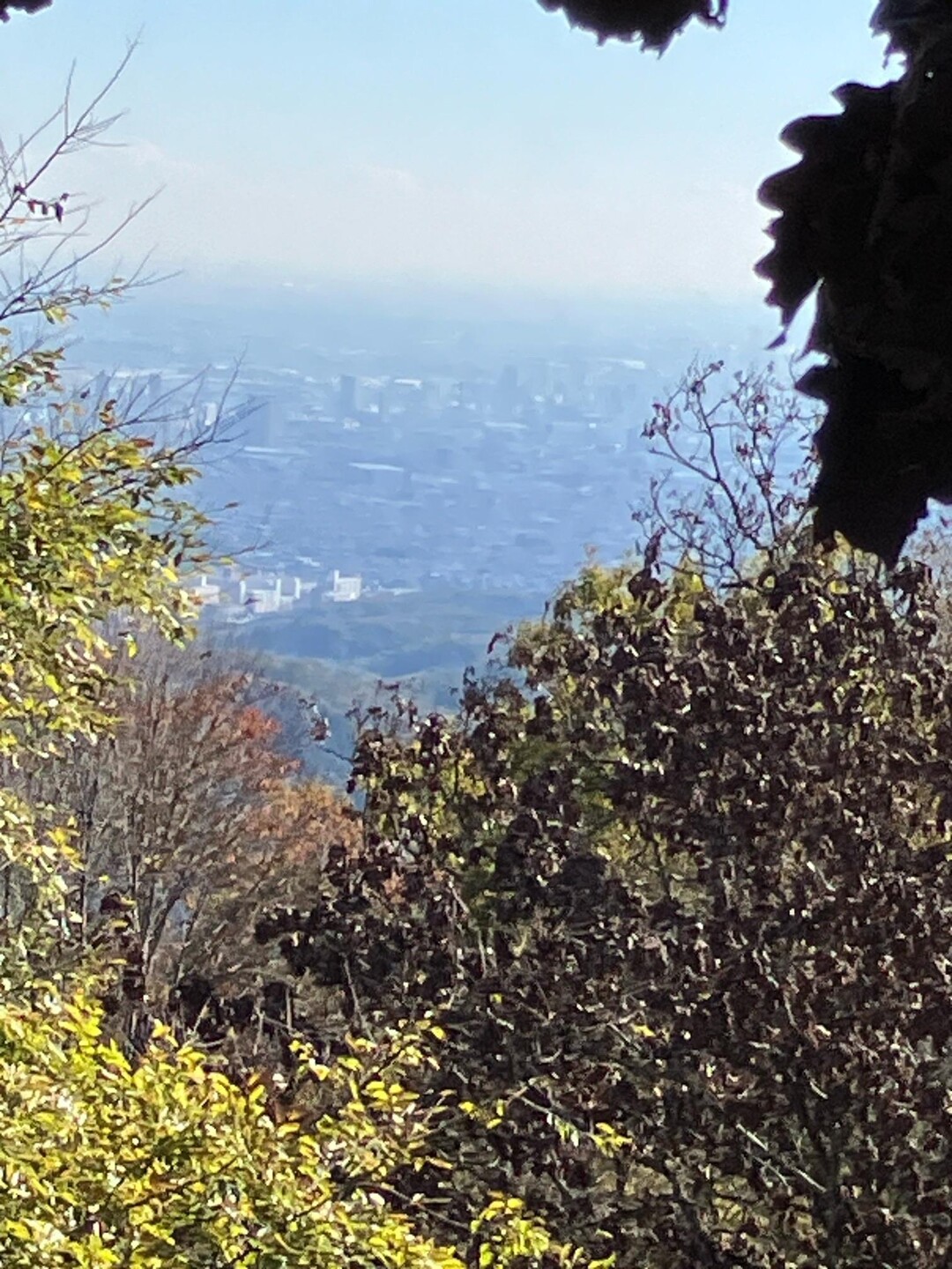 稲荷山・高尾山・神変山 / Hiroko-Tさんの高尾山・陣馬山・景信山の活動データ | YAMAP / ヤマップ