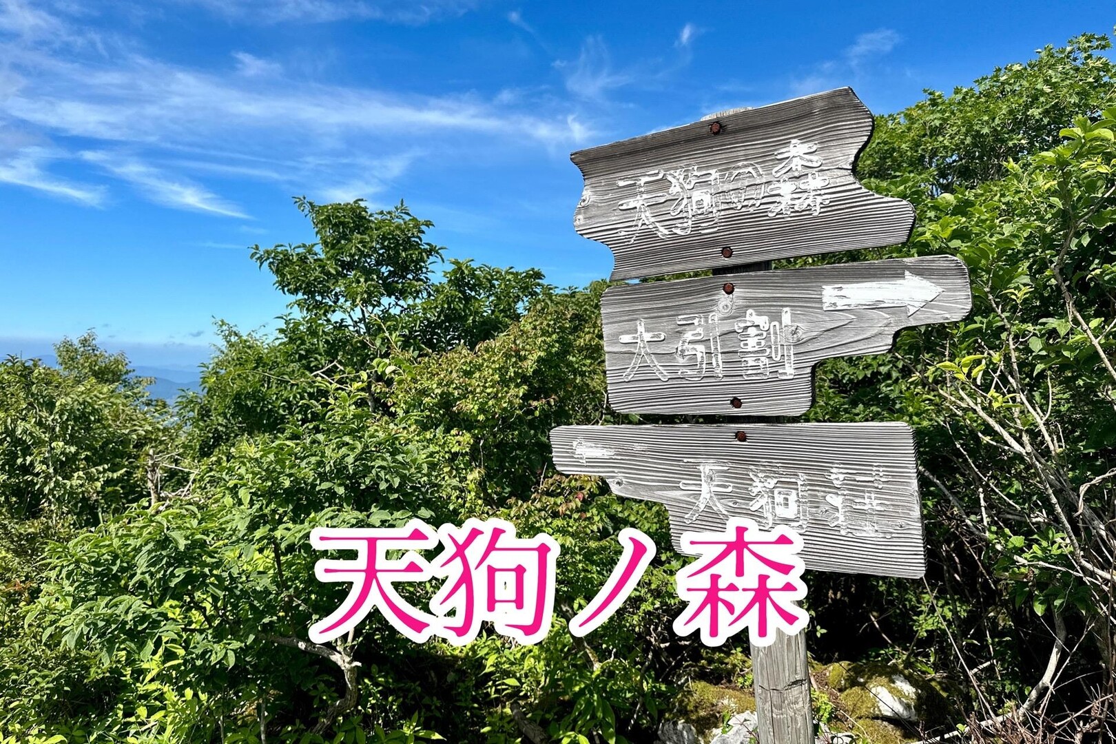 四国カルスト天狗ノ森の紹介記事を書きまし... / やまゆう@しこぐらさんのモーメント | YAMAP / ヤマップ