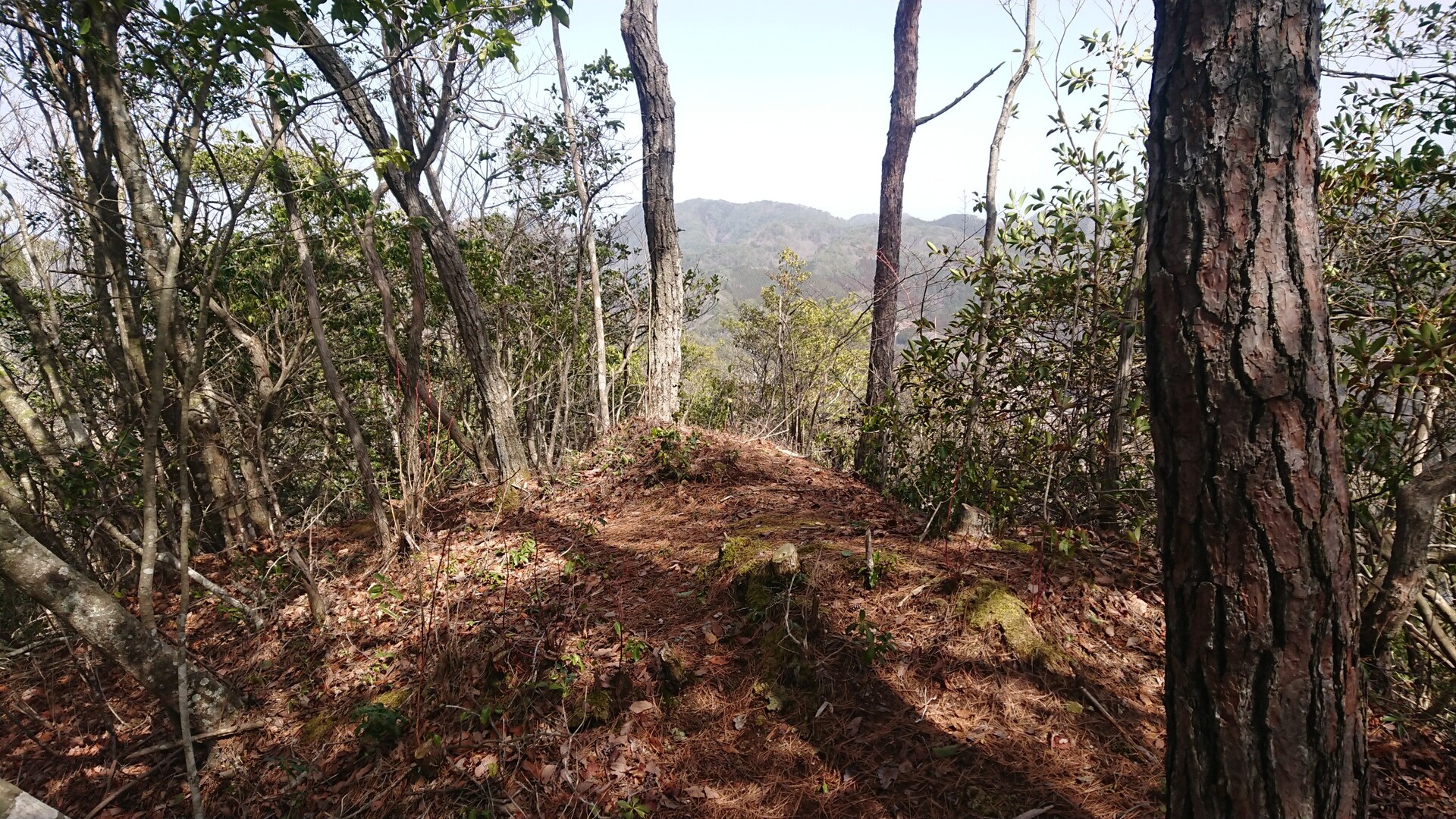 R1さんの投稿したフィールドメモ | YAMAP / ヤマップ