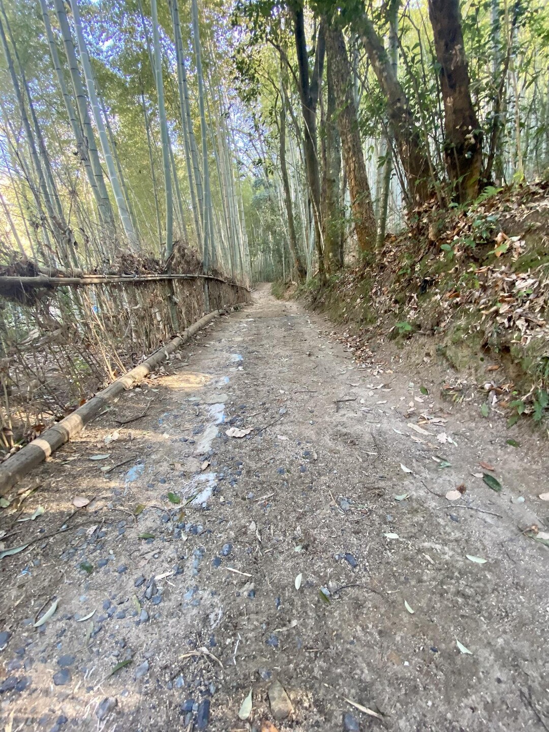 高越山 / KJさんのランニングの活動データ | YAMAP / ヤマップ