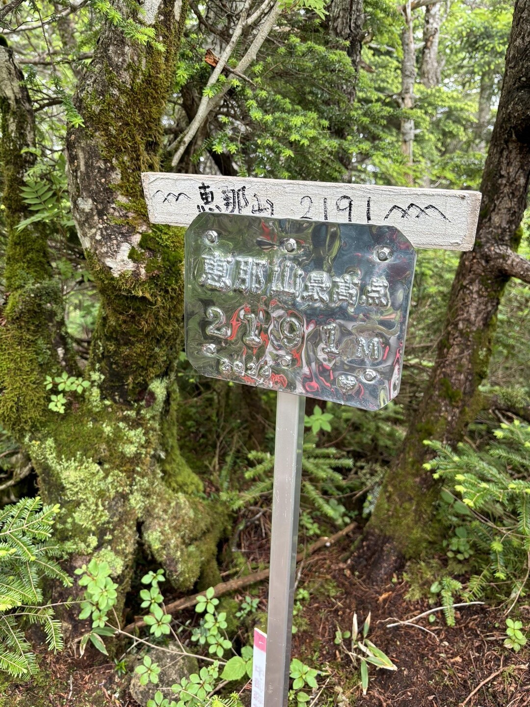 恵那山 / esakonさんの恵那山・大判山・神坂山の活動データ | YAMAP / ヤマップ