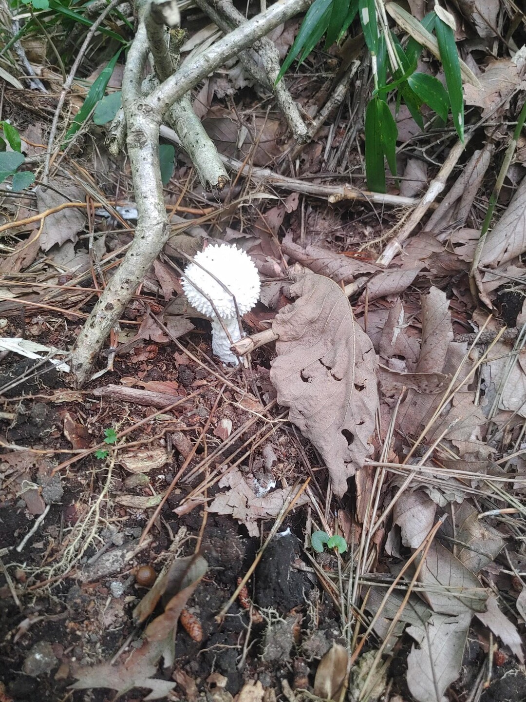 KMのページ | YAMAP / ヤマップ