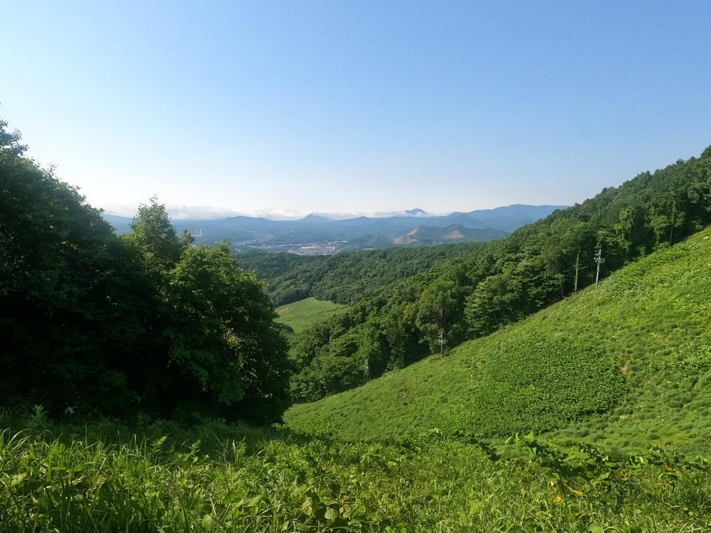日ﾊﾑの応援札幌藻岩山〜鼻山 / ko-1💡1️⃣さんの三角山・大倉山・円山の活動データ | YAMAP / ヤマップ