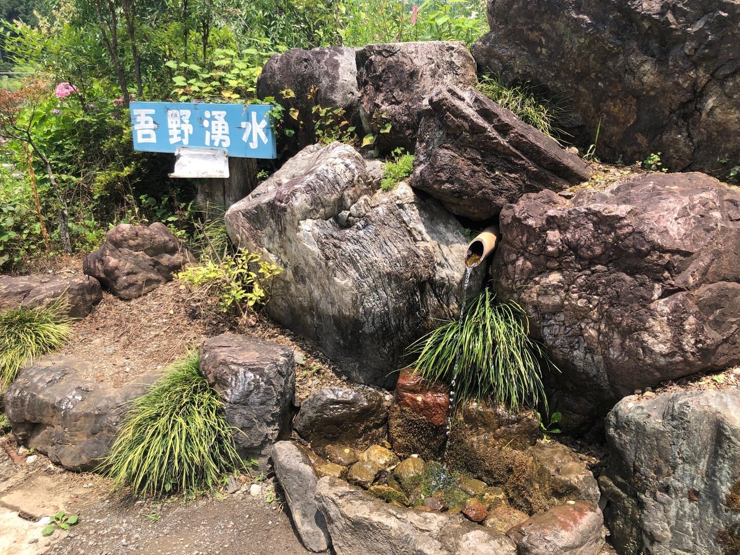 奥武蔵ロングトレイルレース35k 大会後試走 / まーちゃんさんの天覧山・多峯主山・天覚山の活動データ | YAMAP / ヤマップ