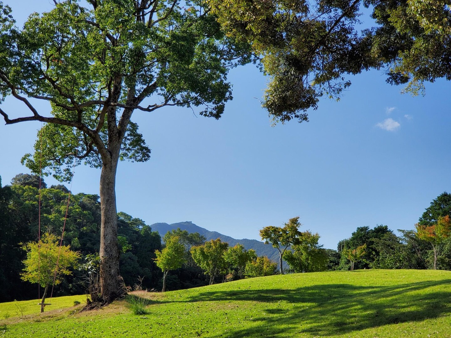 釋迦ヶ岳 / gg505さんの釈迦ヶ岳（釋迦ヶ岳）・矢筈岳の活動データ | YAMAP / ヤマップ