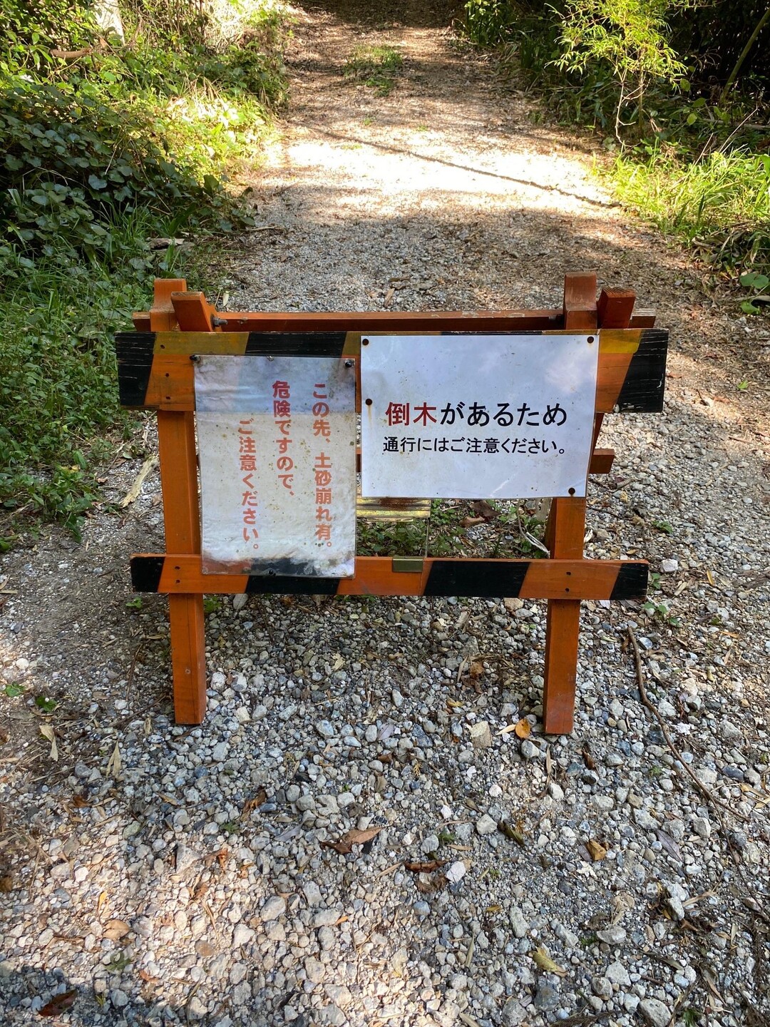 Red Cometさんの投稿したフィールドメモ | YAMAP / ヤマップ