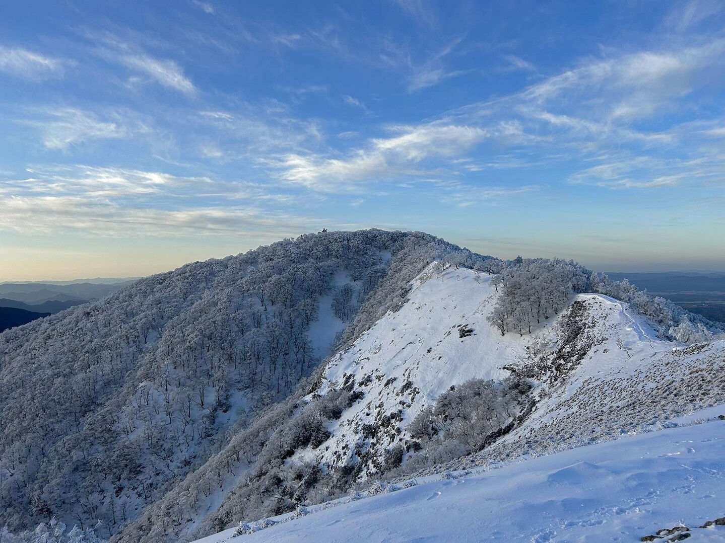 綿向山・竜王山 / akemiさんの綿向山の活動データ | YAMAP / ヤマップ