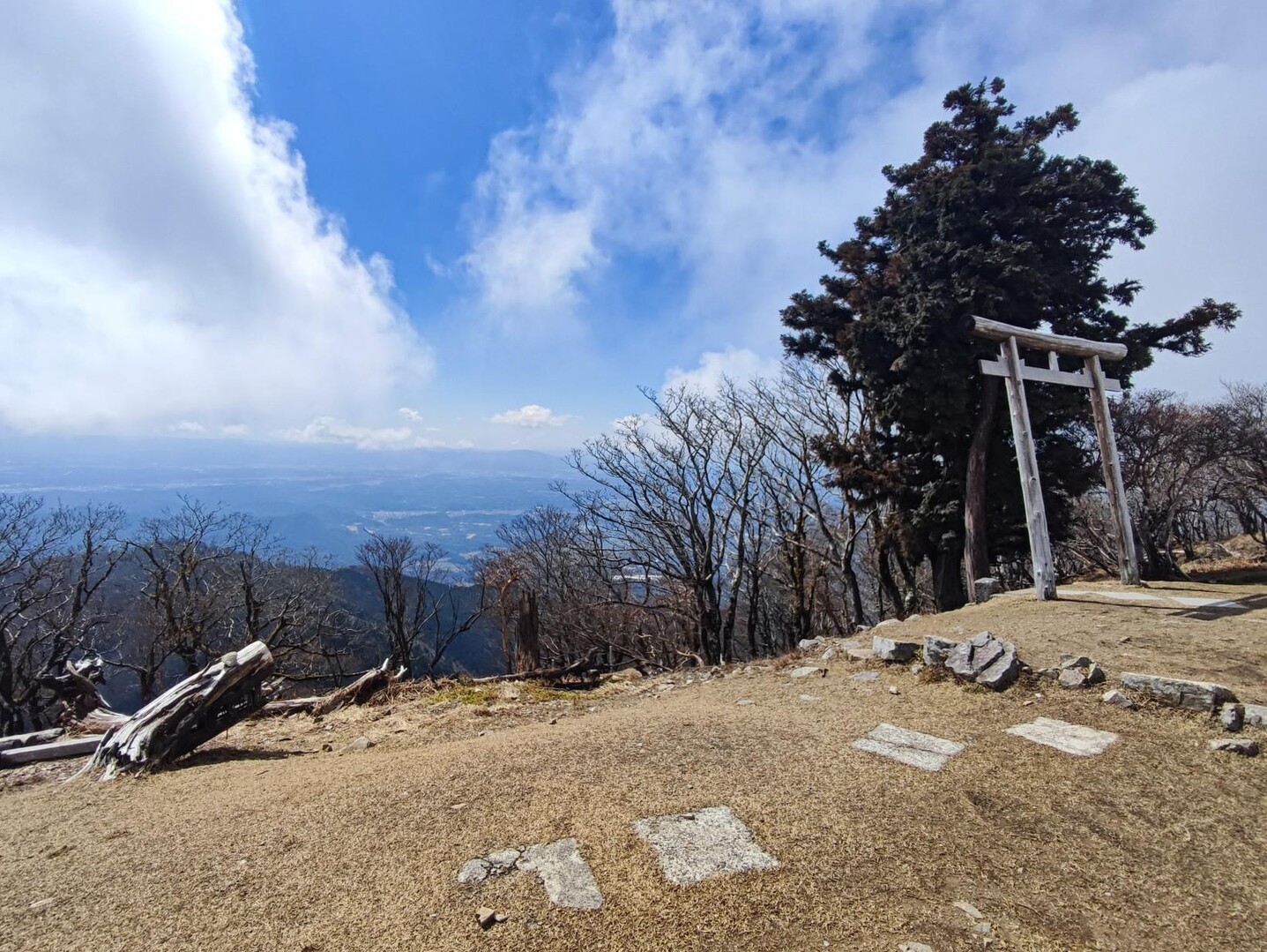 西明寺BS〜竜王山・綿向山 / ヴァンデレさんの綿向山の活動データ | YAMAP / ヤマップ