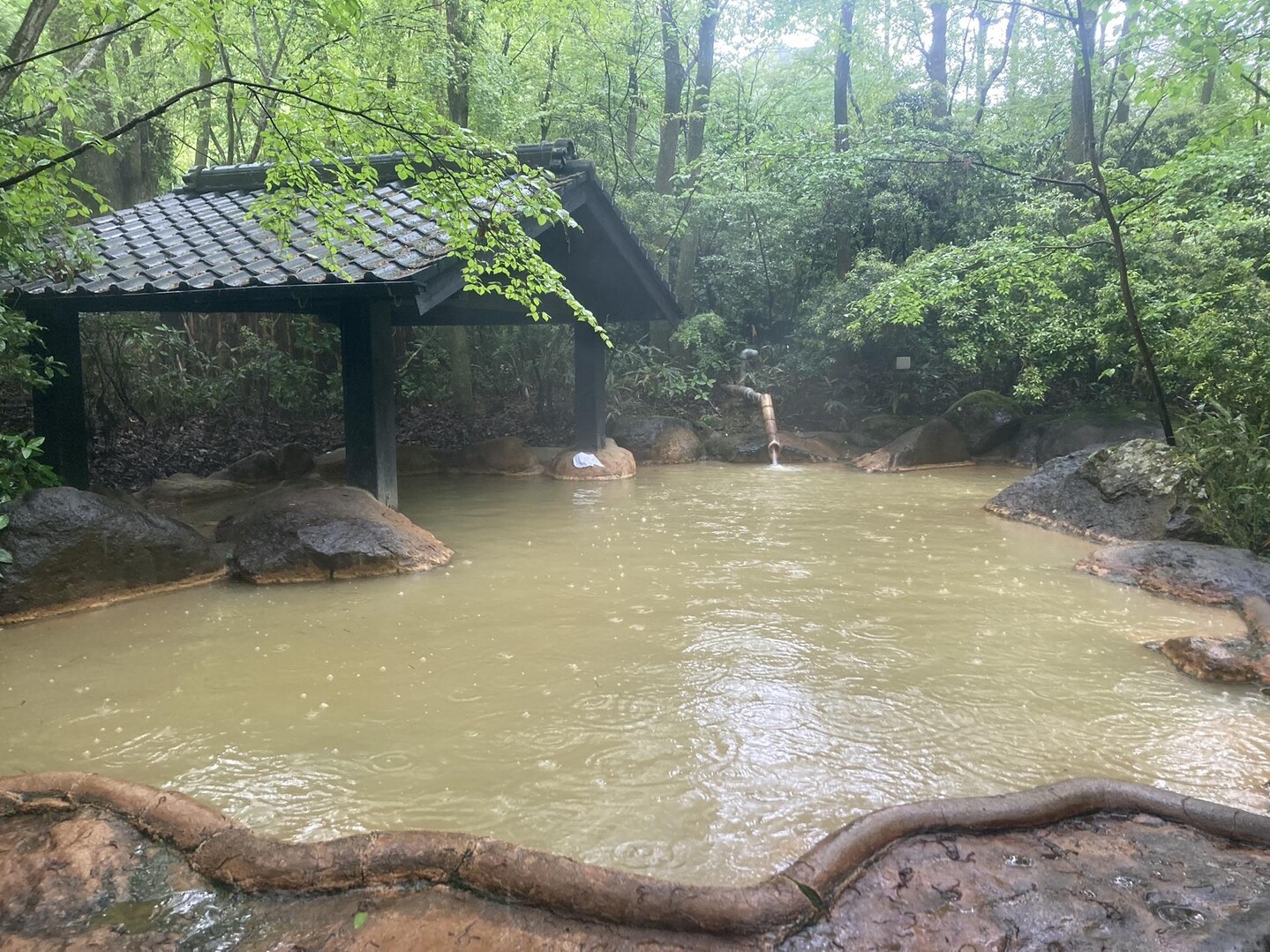 GW九州帰省中 先週水曜日にギックリ腰に... / おかPさんのモーメント | YAMAP / ヤマップ
