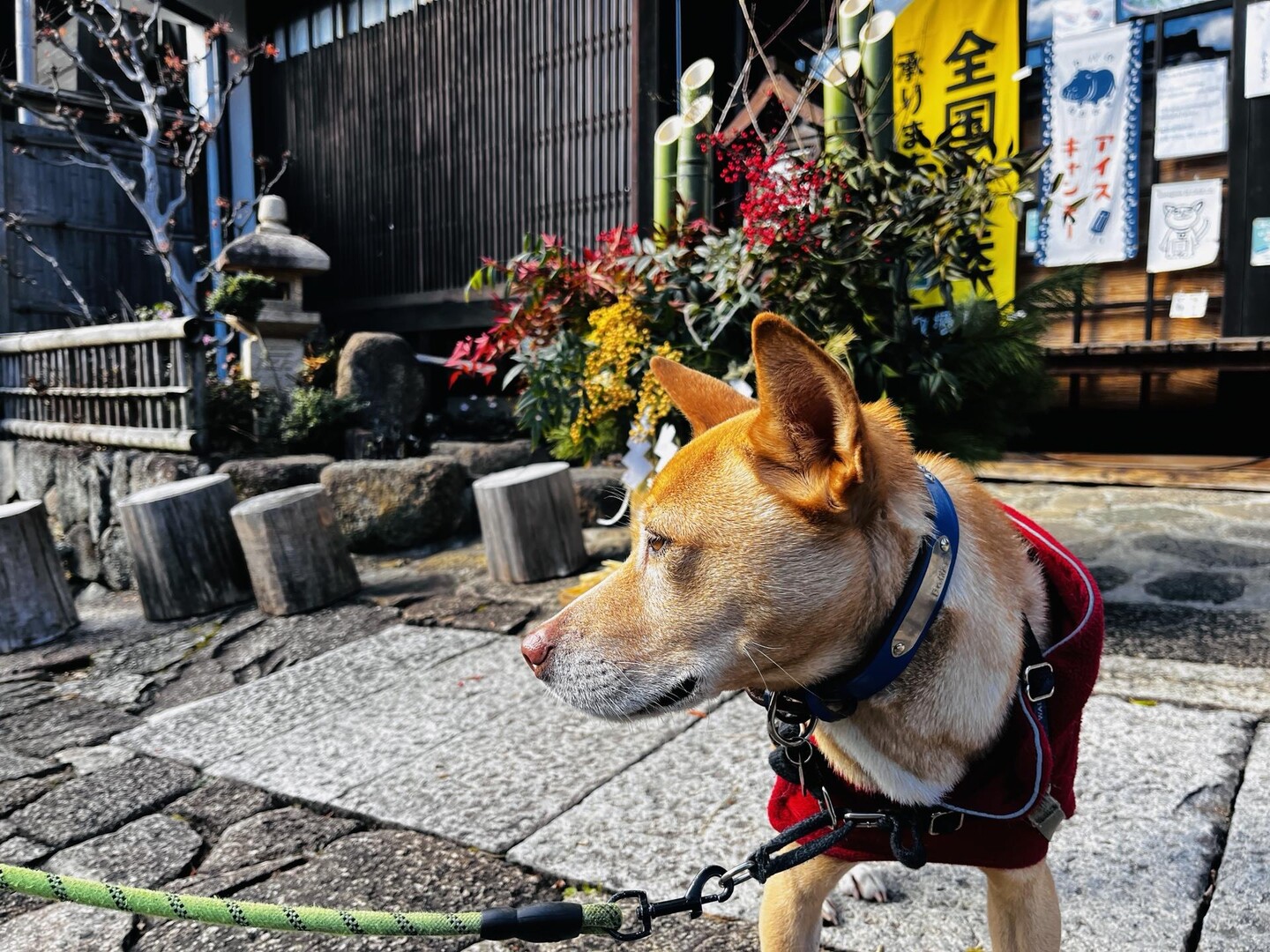 馬籠宿(岐阜県)with信之助2025.... / ジマさんのモーメント | YAMAP / ヤマップ