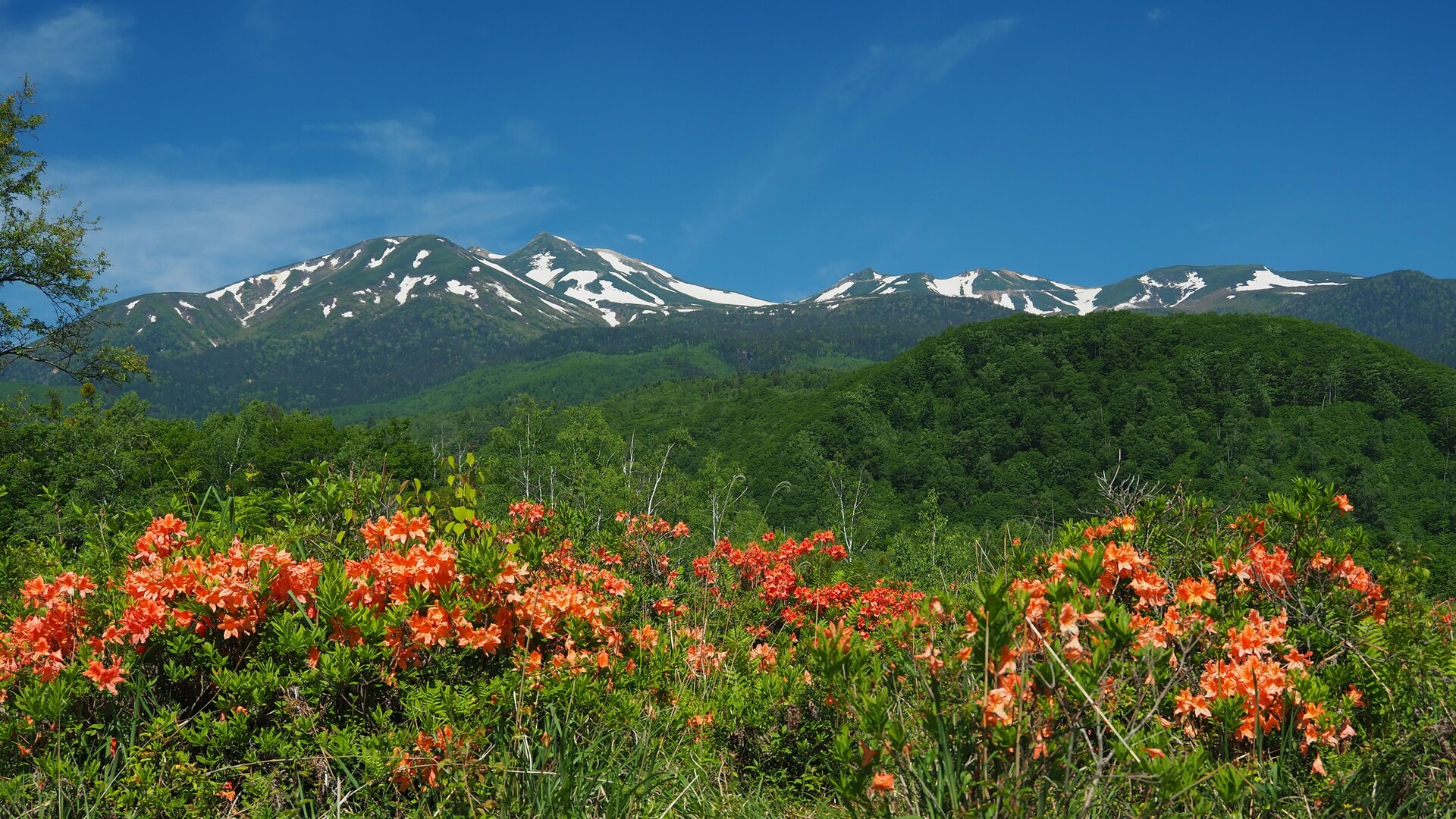 乗鞍高原散策 / ICHI JUNさんの乗鞍岳の活動データ | YAMAP / ヤマップ