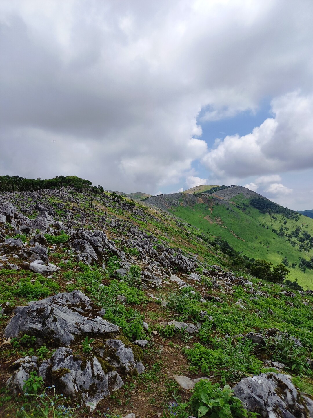 霊仙山 / jun8さんの霊仙山の活動データ | YAMAP / ヤマップ