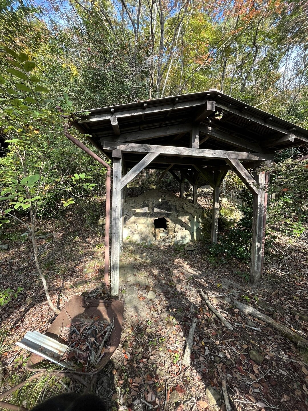 2022.11.03(木) 11:31 / ミクロマンさんのモーメント | YAMAP / ヤマップ