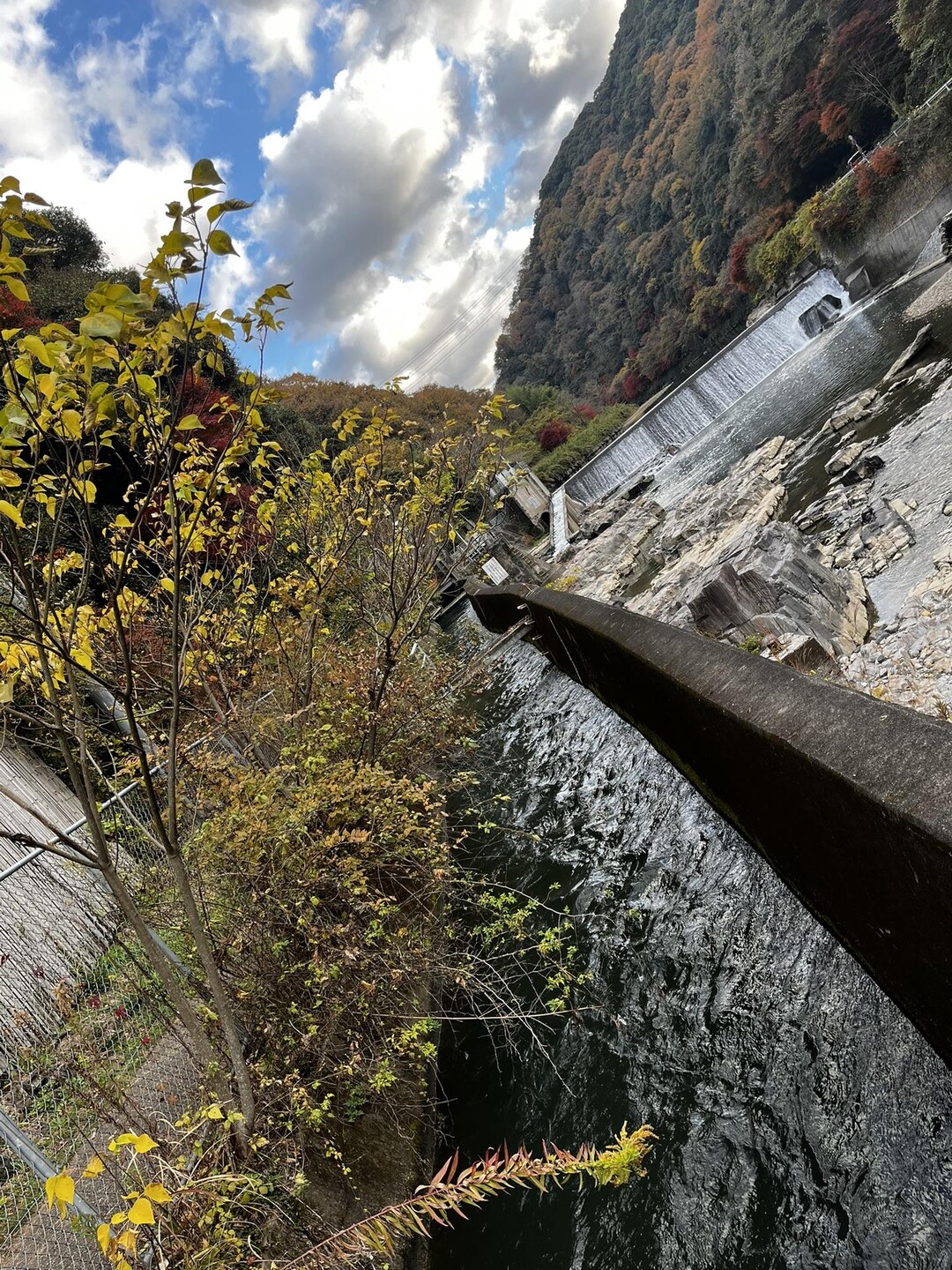 朝ラン🏃‍♂️ 定光寺もだいぶ色付い... / masa-m2さんのモーメント | YAMAP / ヤマップ