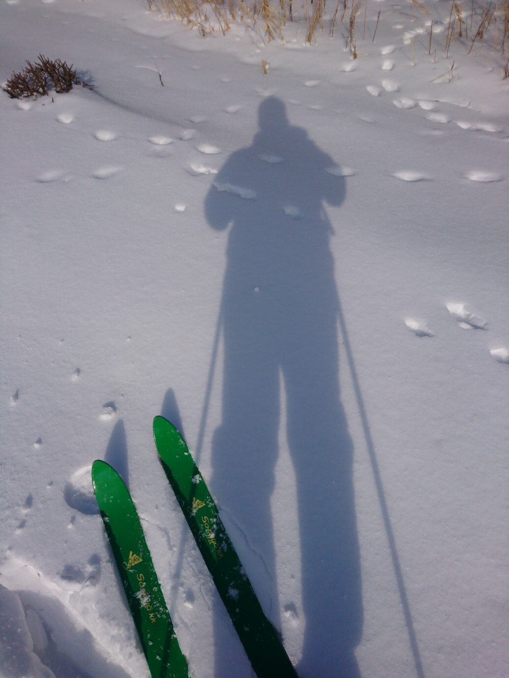 スキーでウォーキング / ひろさんのウォーキングの活動データ | YAMAP / ヤマップ