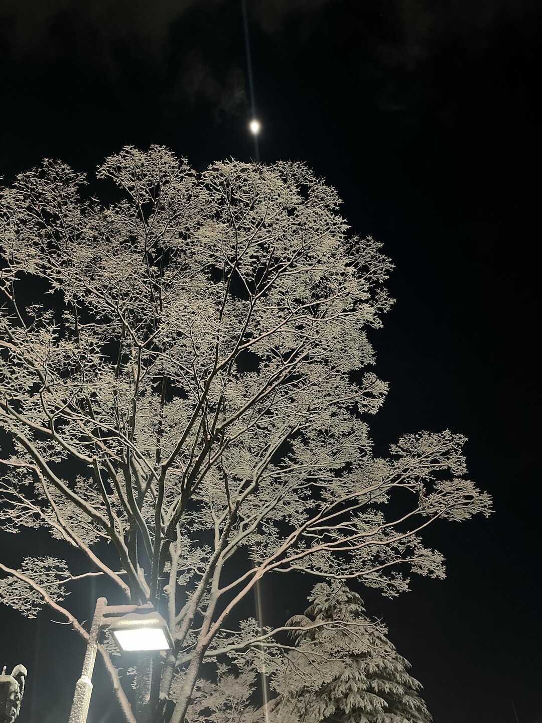 Fly Me to the Moon / シュウさんのモーメント | YAMAP / ヤマップ