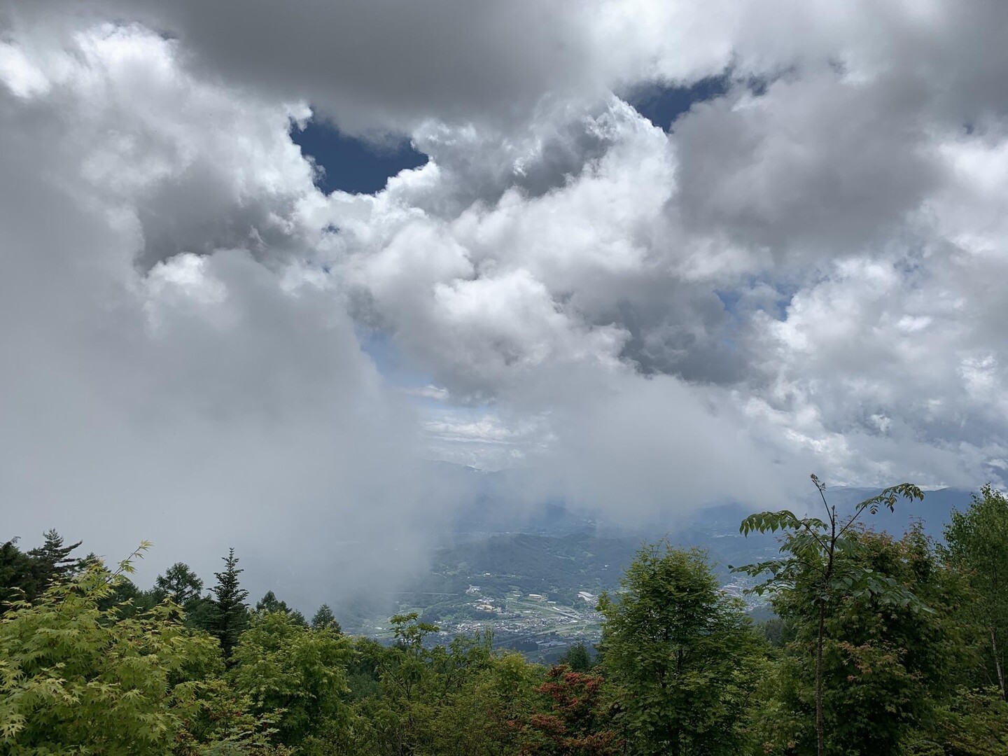 高鳥屋山（阿智セブン踏破） / konさんさんの高鳥屋山・梨子野山・笠松山の活動データ | YAMAP / ヤマップ