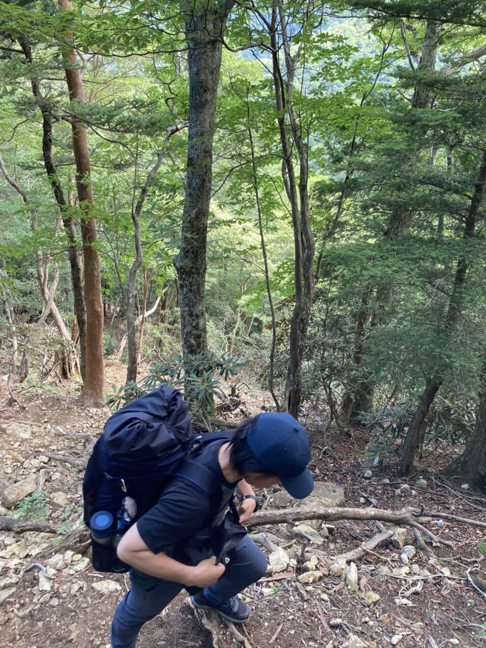 JMのページ | YAMAP / ヤマップ