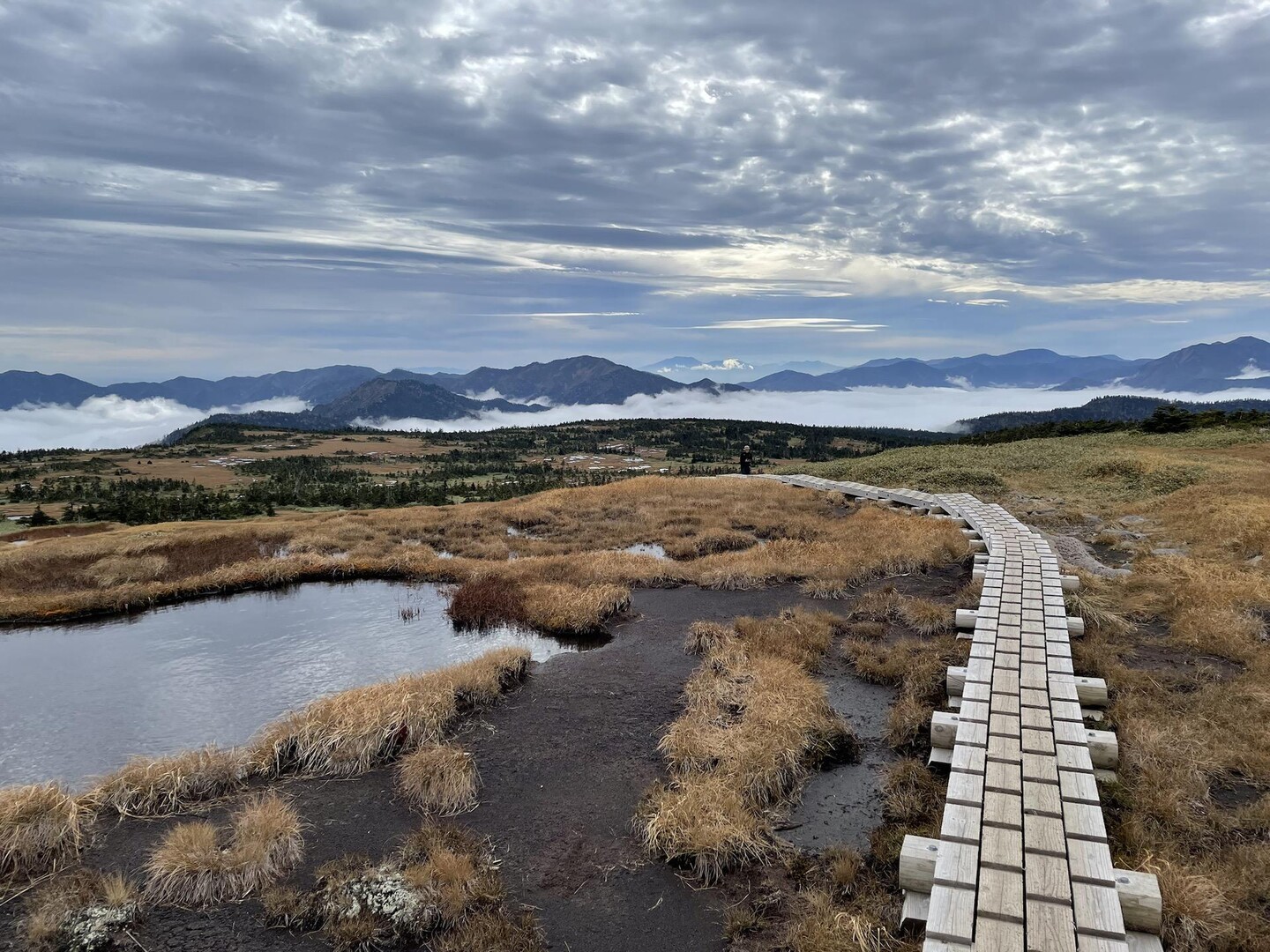 苗場山・赤倉山・佐武流山-2024-10-24 / hideさんの苗場山・赤倉山・佐武流山の活動データ | YAMAP / ヤマップ