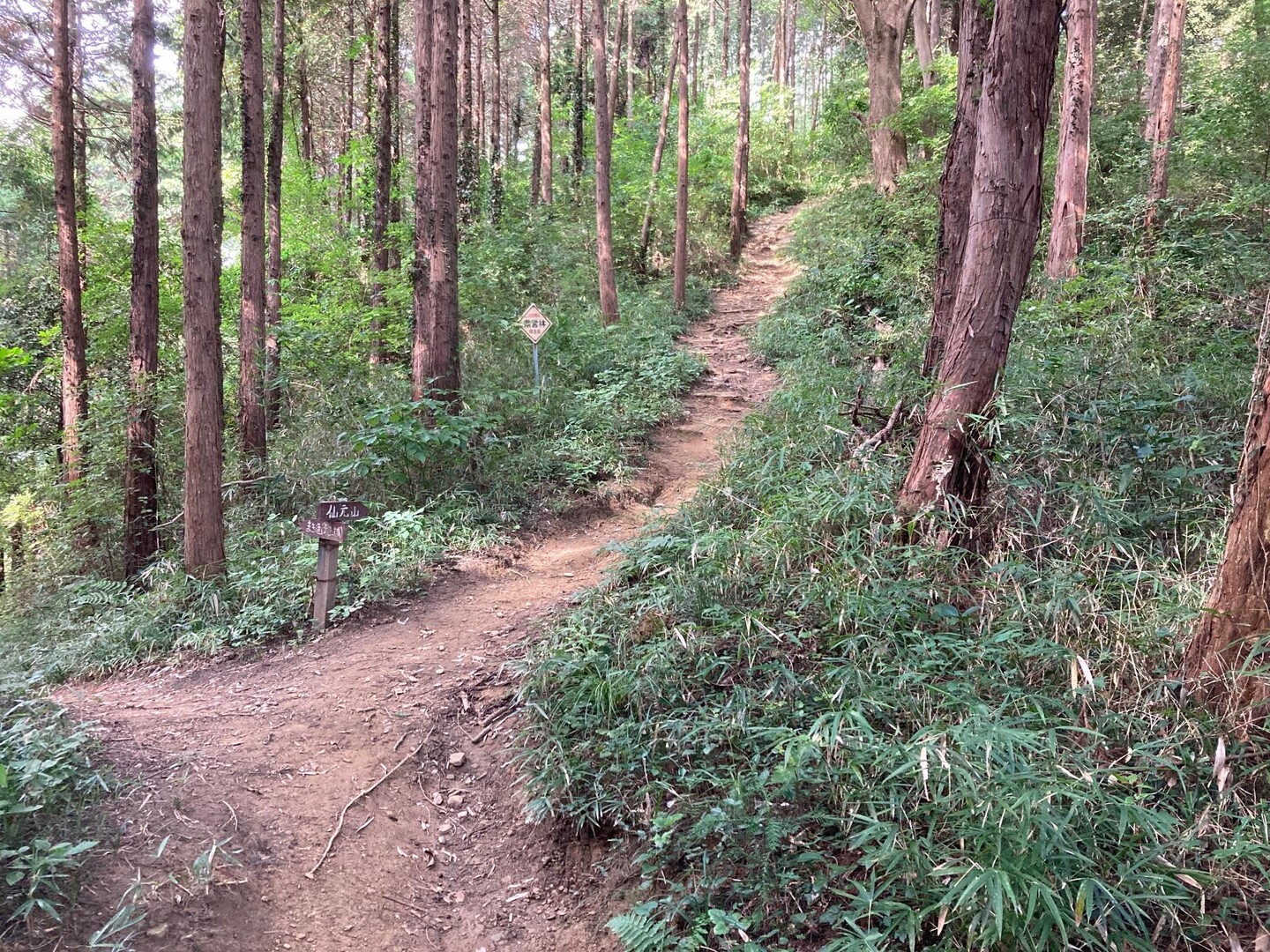 taoさんの投稿したフィールドメモ | YAMAP / ヤマップ