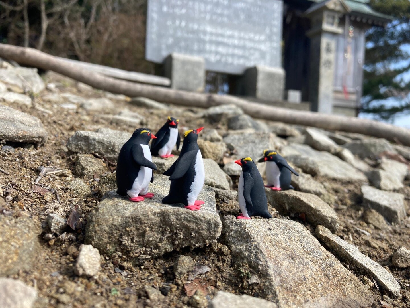 天円山・剣ヶ峰・みふみ山 / lazyさんの大麻山・天円山の活動データ | YAMAP / ヤマップ