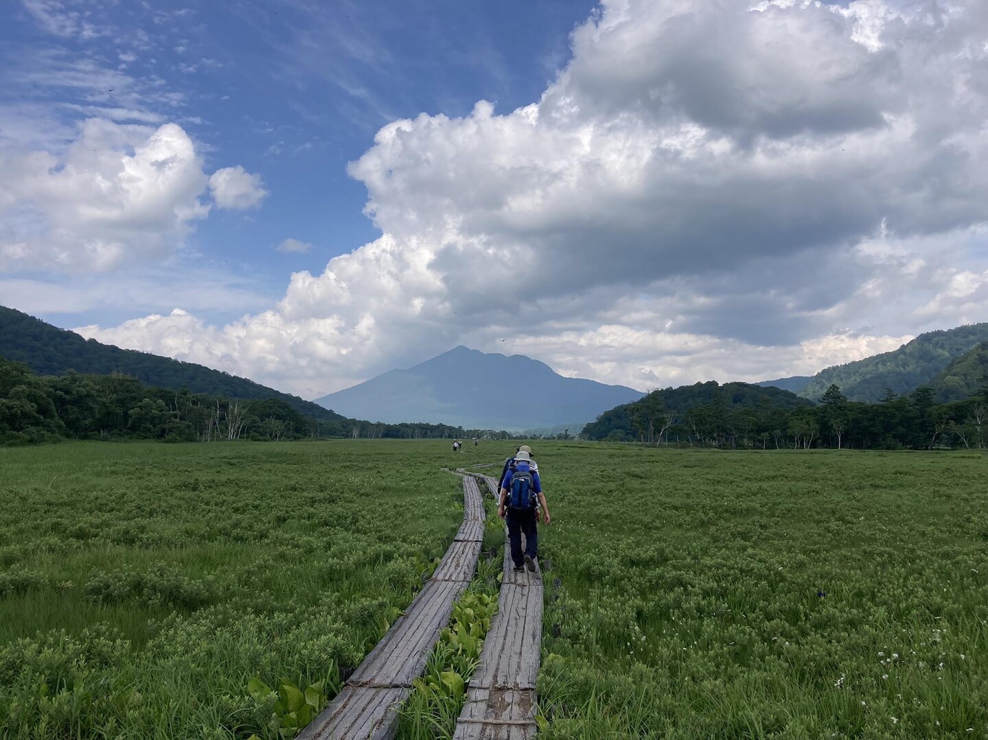 尾瀬 / こめこさんの尾瀬・至仏山・悪沢岳・笠ヶ岳の活動データ | YAMAP / ヤマップ