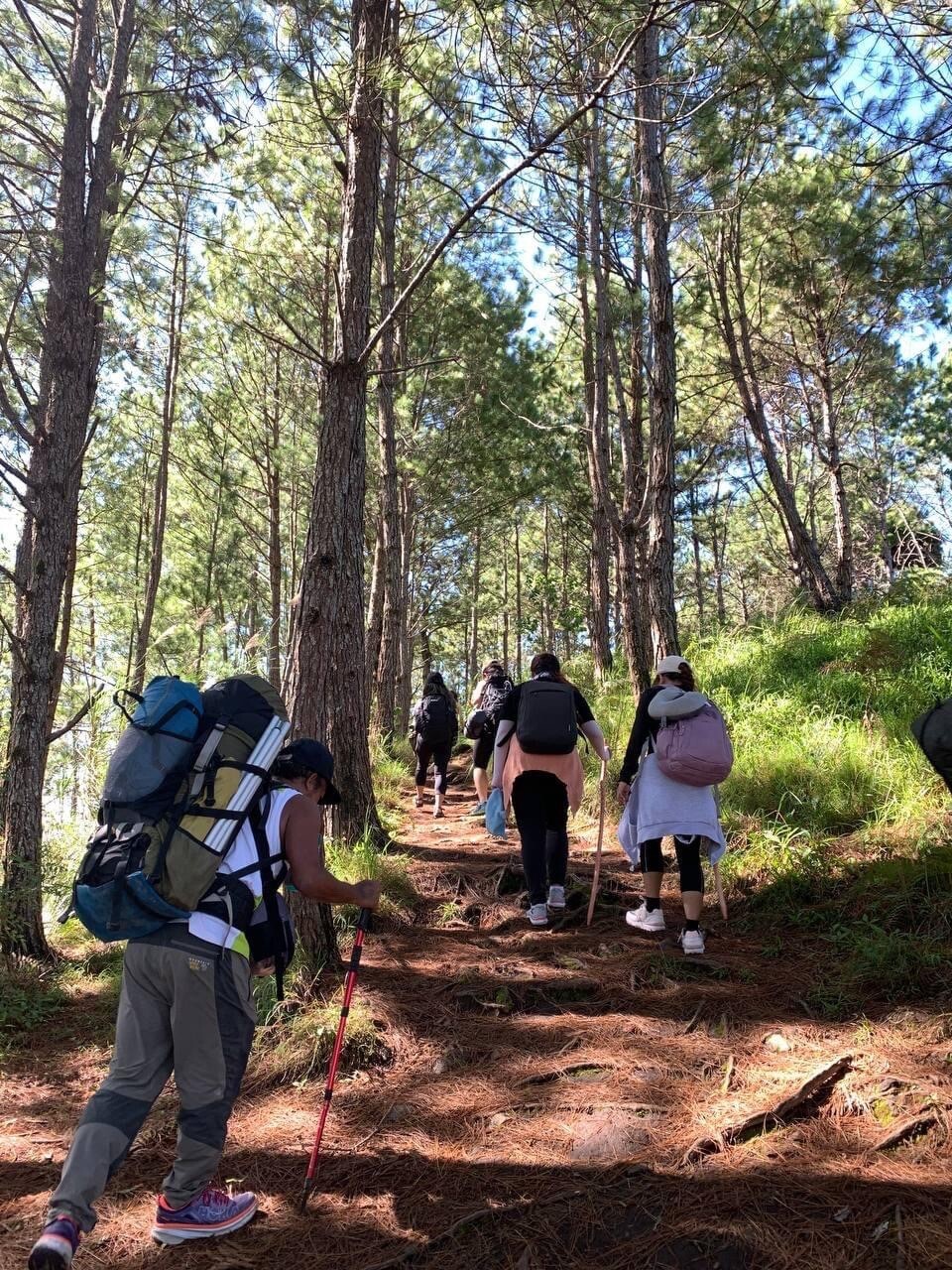 まだ遠いの? 膝が痛い / Corneさんのモーメント | YAMAP / ヤマップ