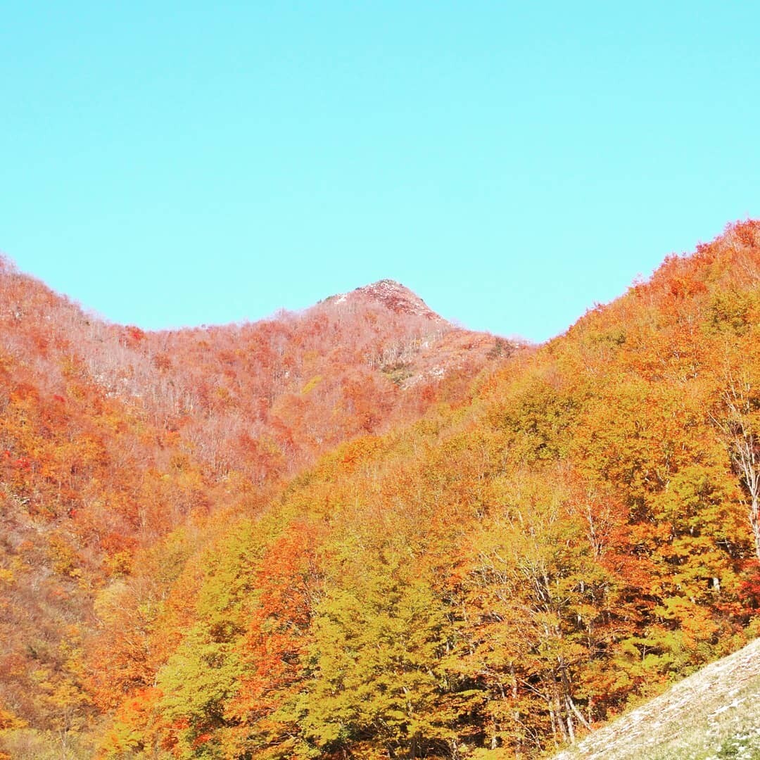 久しぶりに青空登山。お初の飯士山 / 天ぷらケンジJyJyさんの飯士山の活動データ | YAMAP / ヤマップ