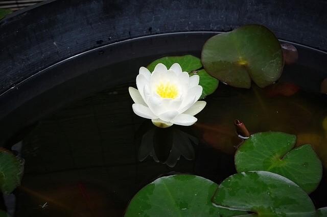 moxのページ | YAMAP / ヤマップ