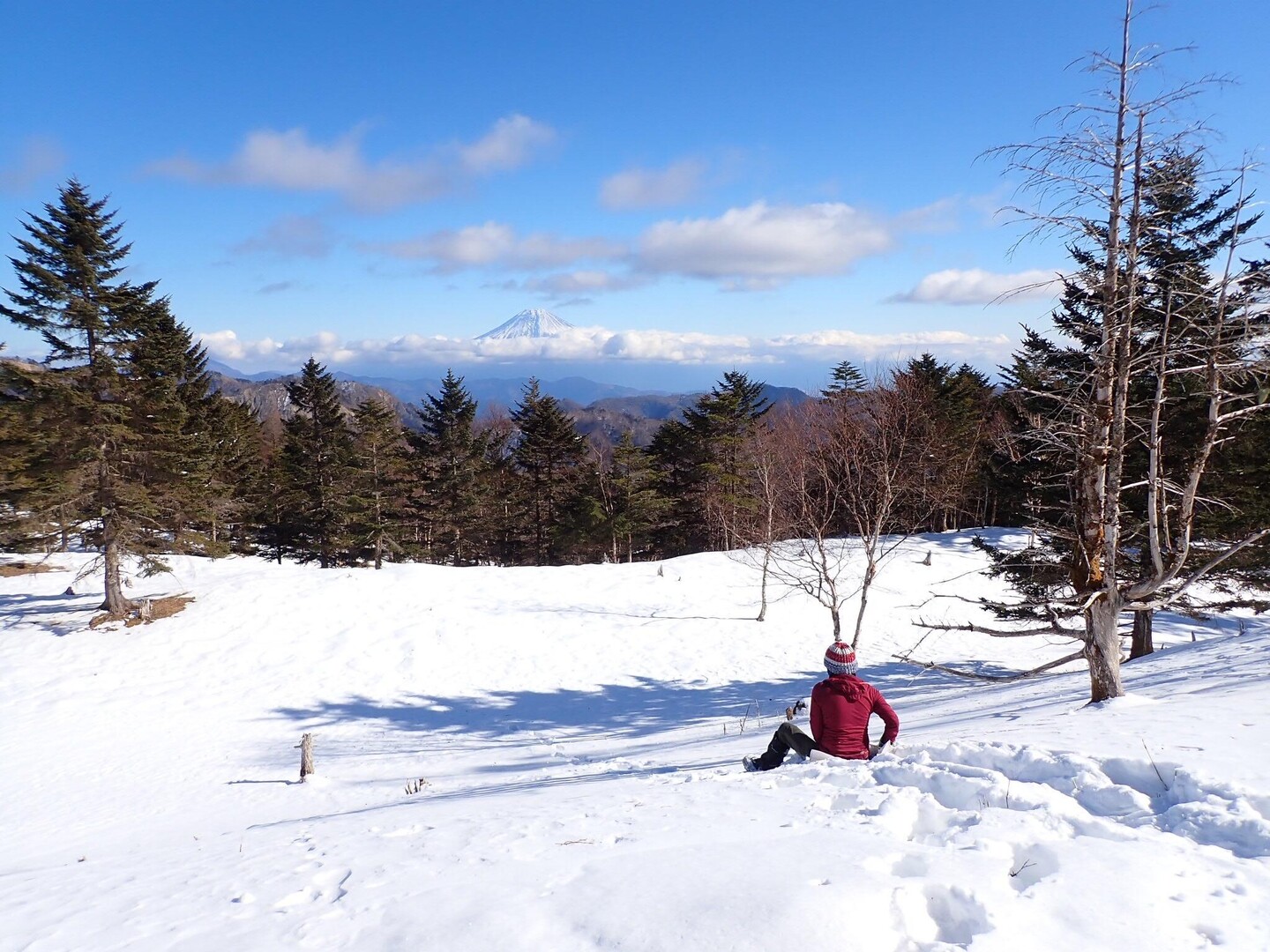雪の山伏🏔 / reoさんの山伏・八紘嶺・笹山の活動データ | YAMAP / ヤマップ