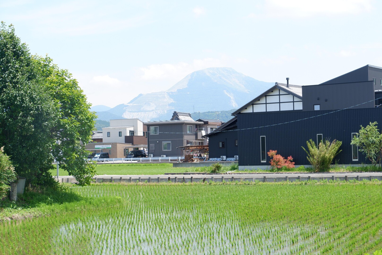 禾岡山・歌岡山は初登頂。 / モモシロウさんの伊吹山・伊吹高原・御座峰の活動データ | YAMAP / ヤマップ