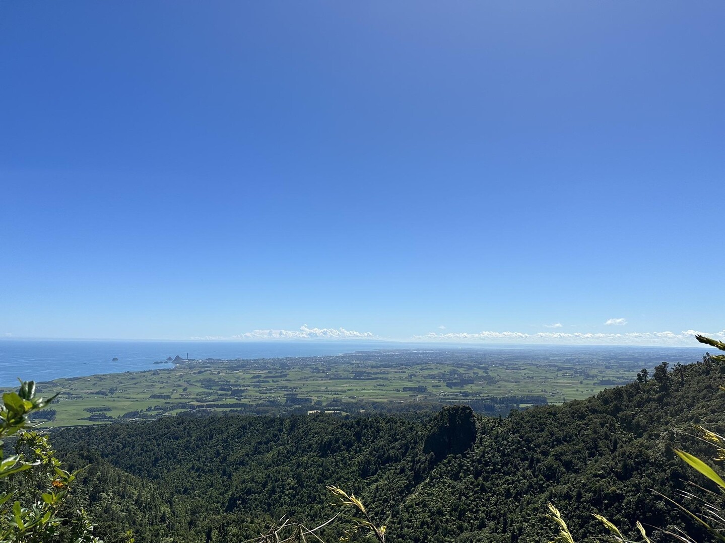 Kaitake Track-2022-12-26 / pc126さんのタラナキ山の活動データ | YAMAP / ヤマップ