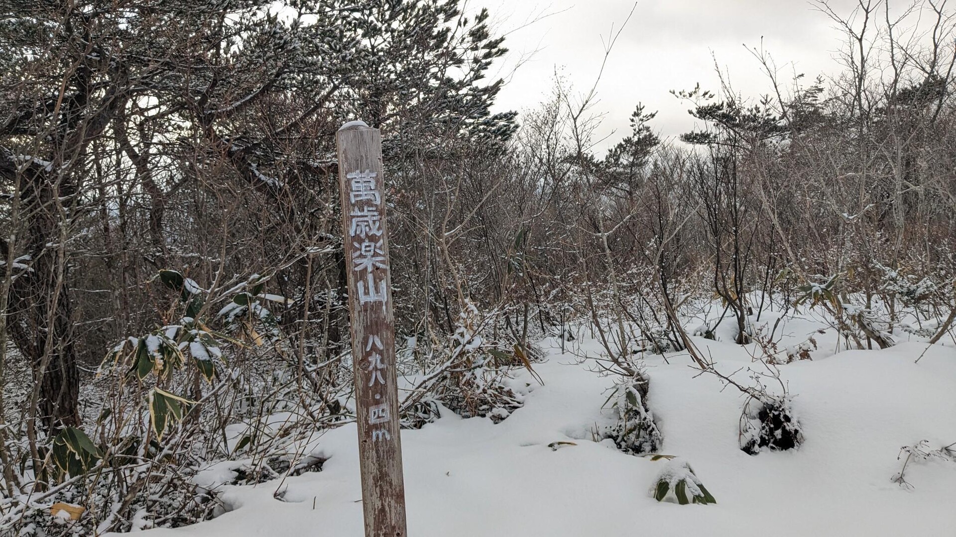 宮城と福島をまたぐ霊山、萬歳楽山 / noraさんの半田山・萬歳楽山の活動データ | YAMAP / ヤマップ