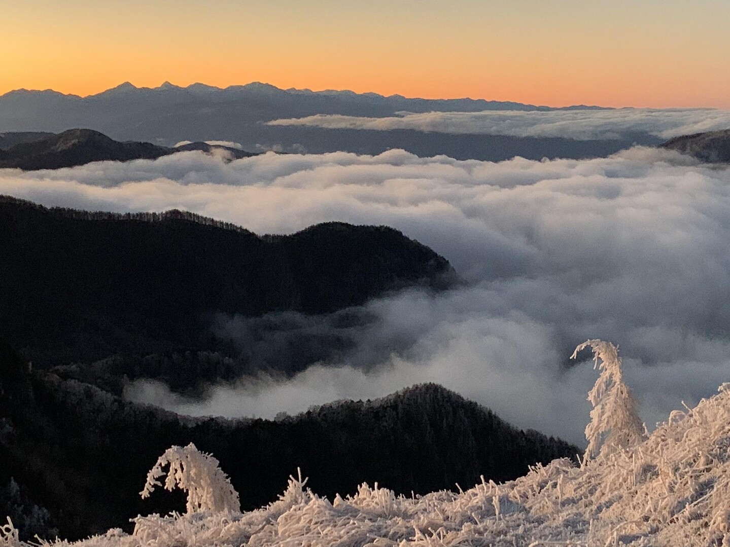 美ヶ原（王ヶ頭）・王ヶ鼻 / Lucy maさんの美ヶ原の活動データ | YAMAP / ヤマップ