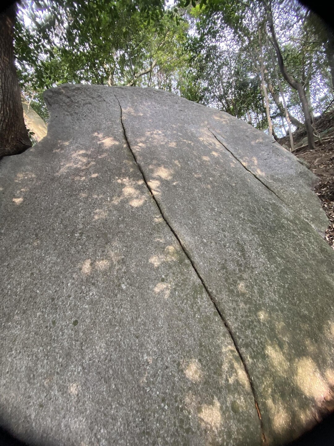 Rock climbing site d... / alzclimberひろさんのモーメント | YAMAP / ヤマップ