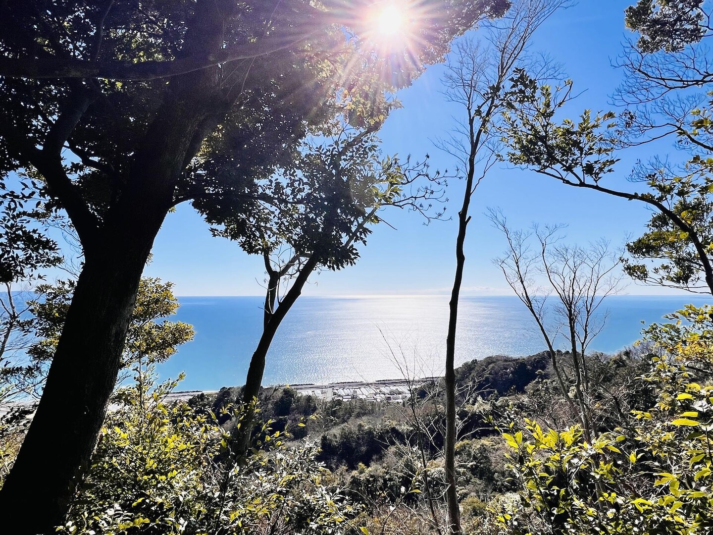 日本平と中日本平崖っぷちコース / ZUNさんの日本平の活動データ | YAMAP / ヤマップ