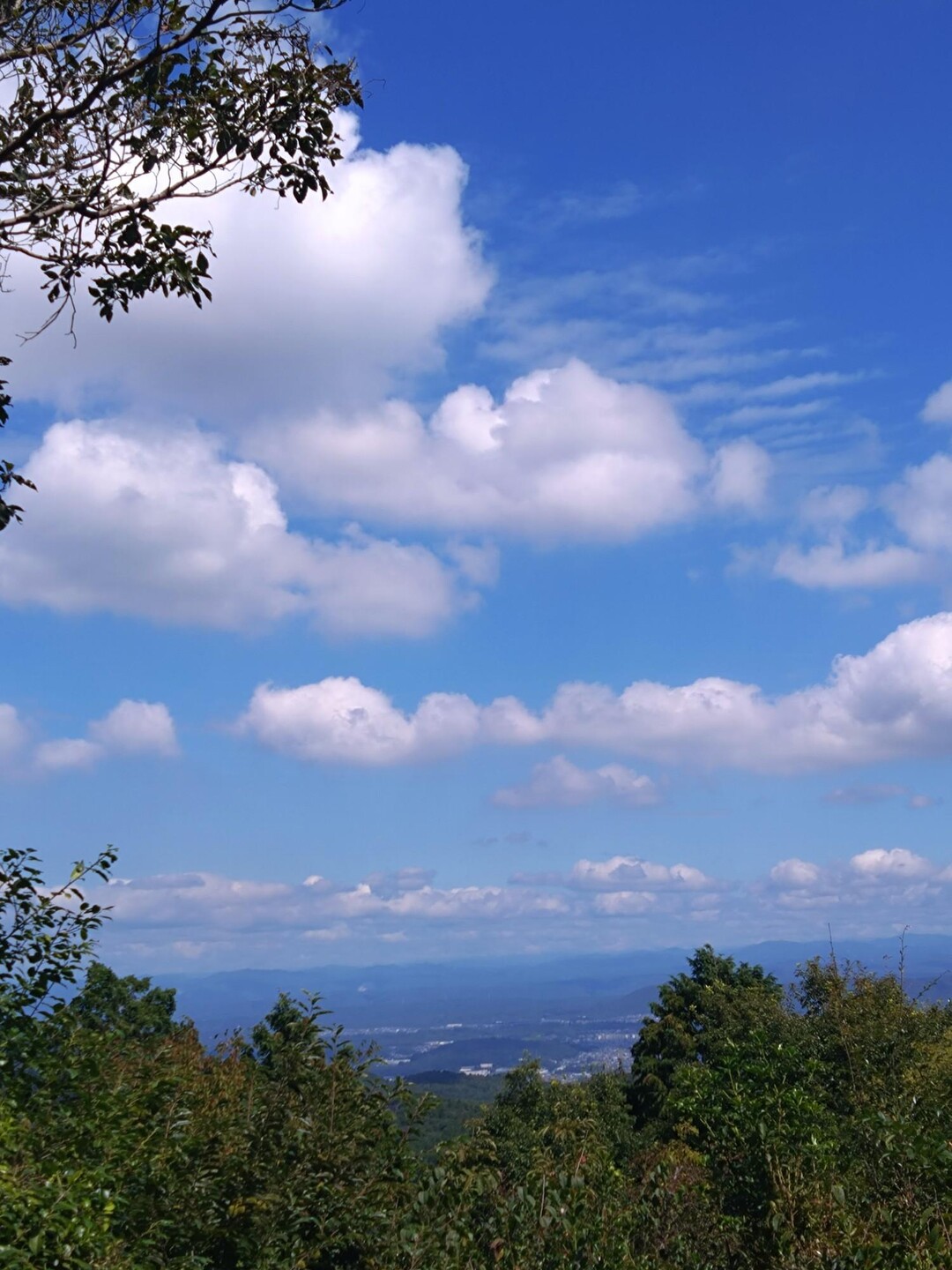 弥勒山 / AYUさんの春日井三山・弥勒山・大谷山・道樹山の活動日記 | YAMAP / ヤマップ
