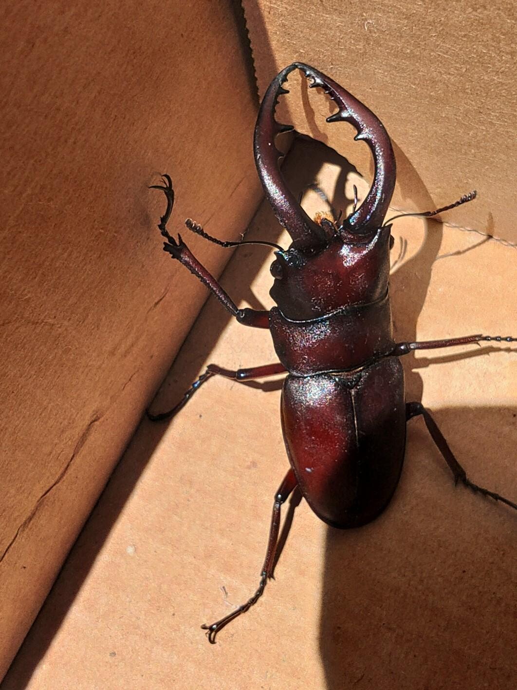 🏃‍♂️2024running13回目... / boruさんのモーメント | YAMAP / ヤマップ