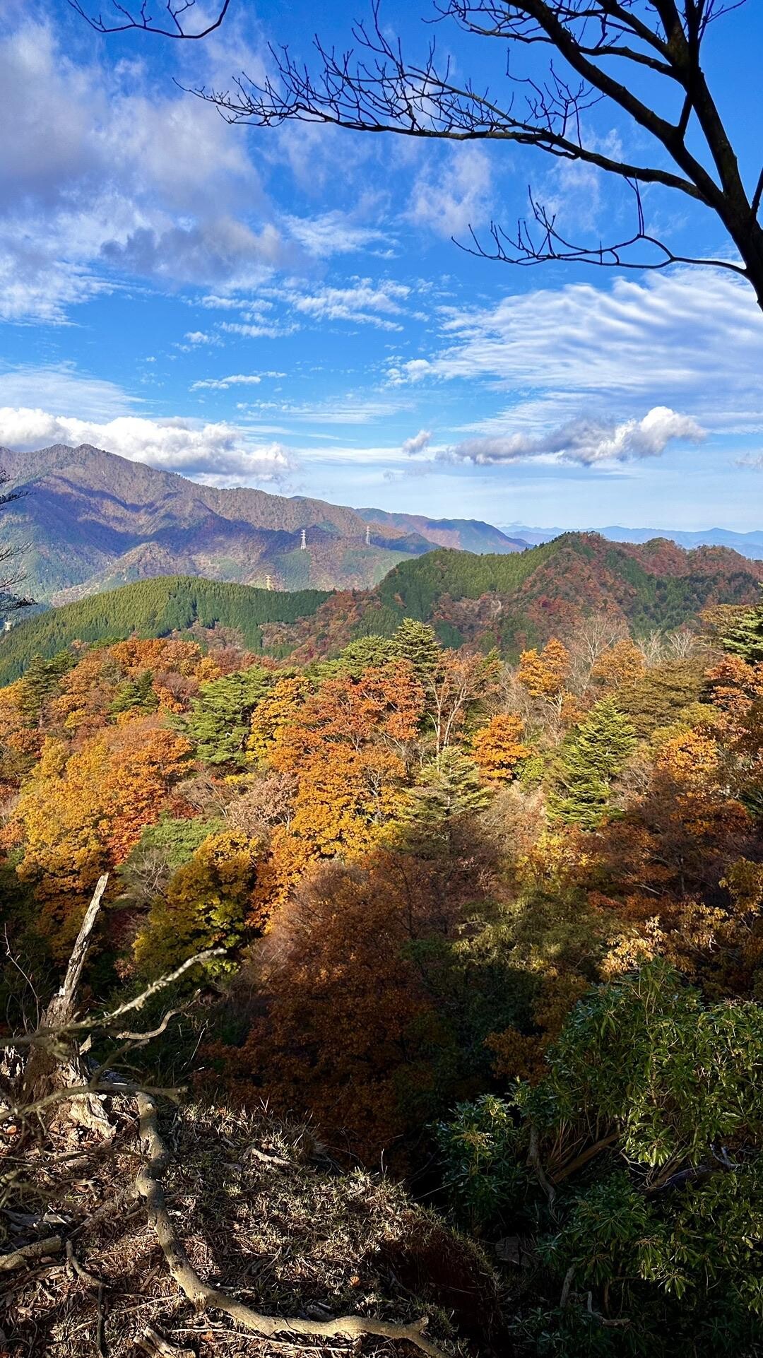 東丹沢の魔境🤩経由🤗ZUND-BAR🤗 / shin🤗さんの大山の活動日記 | YAMAP / ヤマップ