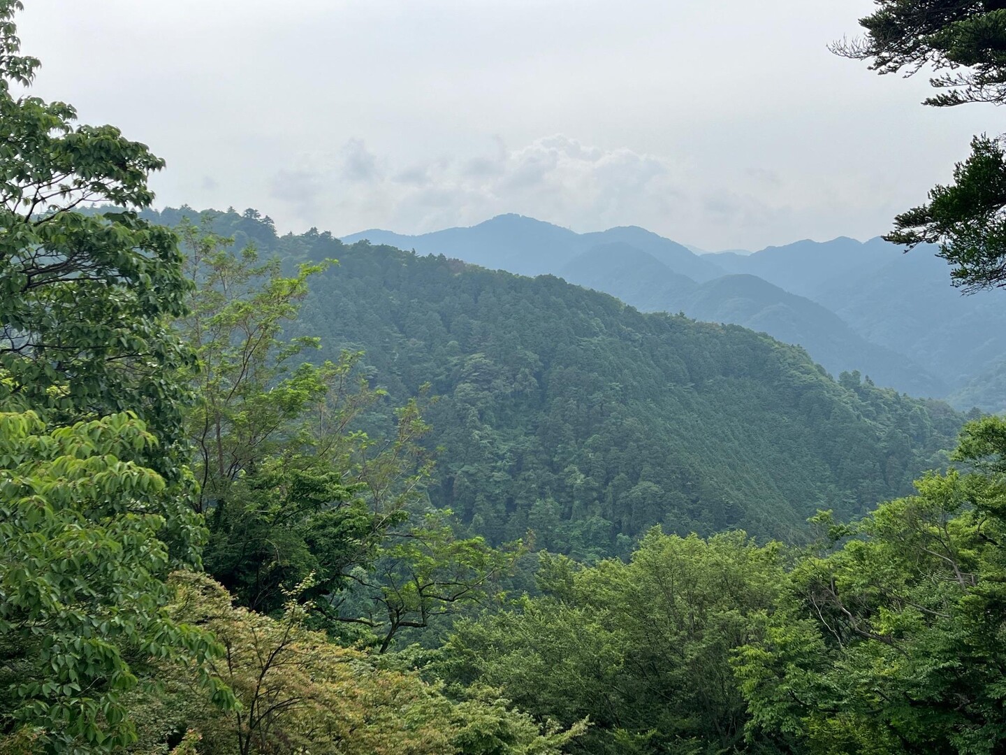 景信山東尾根〜高尾山〜金比羅台 / Y-kobaさんの高尾山・陣馬山・景信山の活動データ | YAMAP / ヤマップ