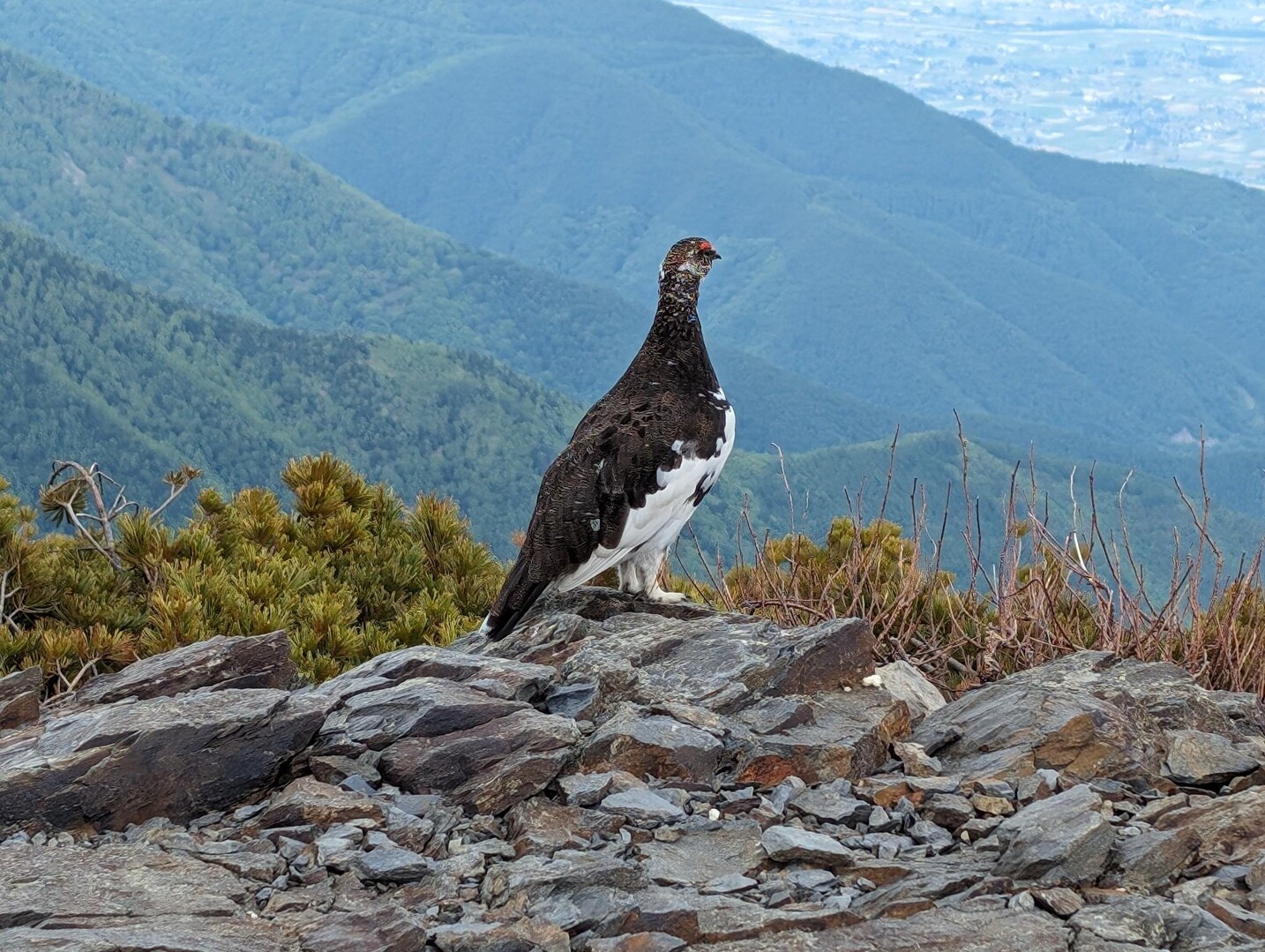 常念岳・蝶ヶ岳 / se-2さんの常念岳・大天井岳・燕岳の活動データ | YAMAP / ヤマップ