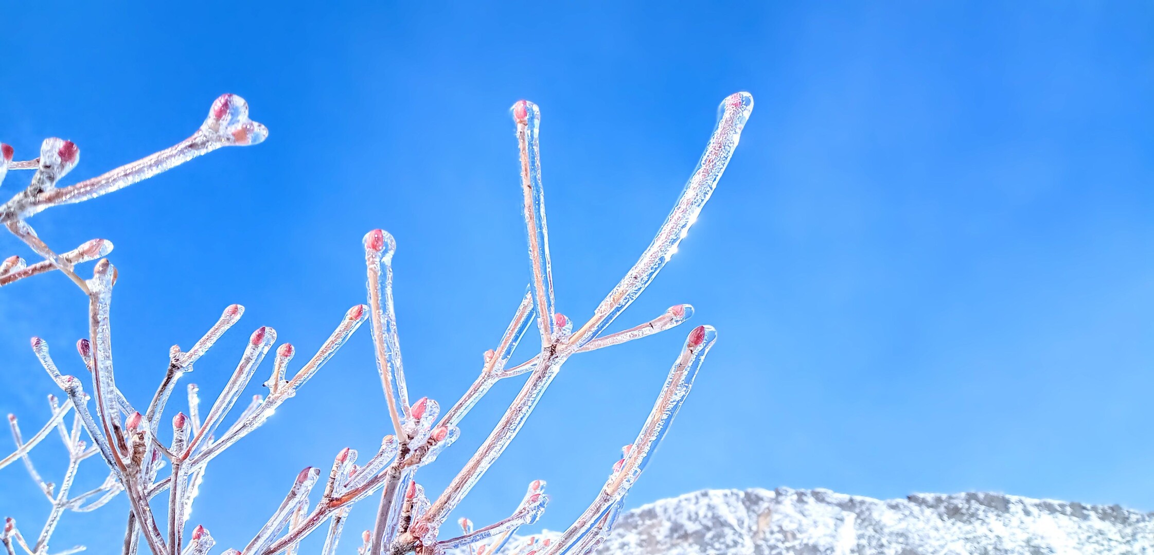 安達太良山🏔️ / moroさんの安達太良山・箕輪山・鬼面山の活動データ | YAMAP / ヤマップ