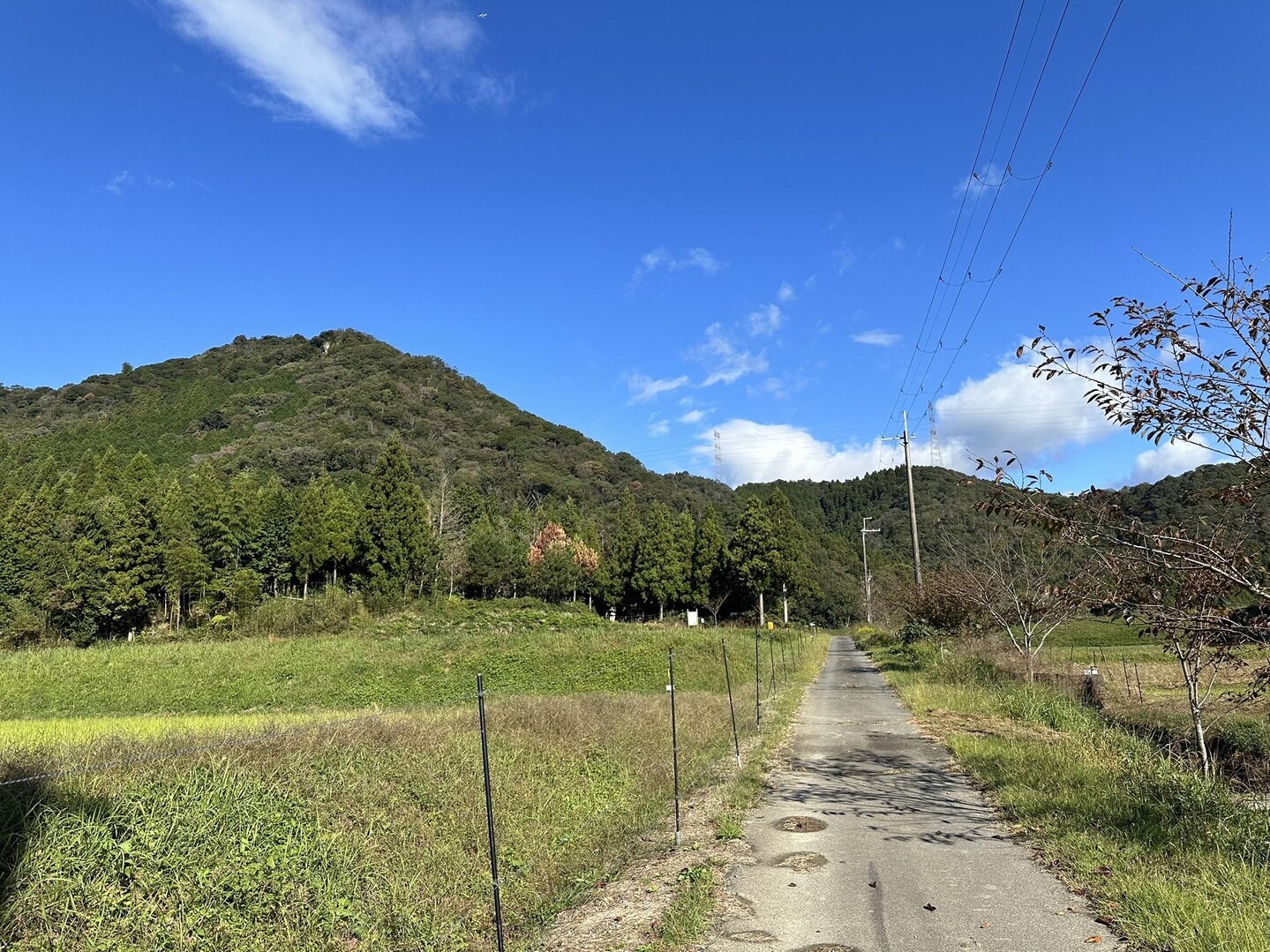 鎌倉山に登ろう / tamiwaさんの鎌倉山の活動データ | YAMAP / ヤマップ