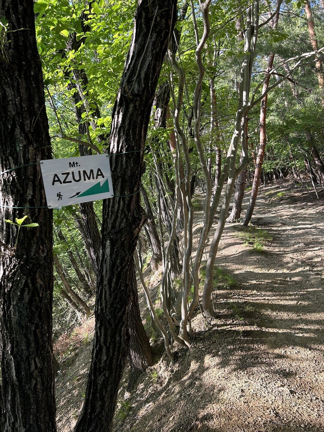 Cafe Mt.AZUMA☕️ / カトゥ〜さんの鳴神山・吾妻山の活動データ | YAMAP / ヤマップ