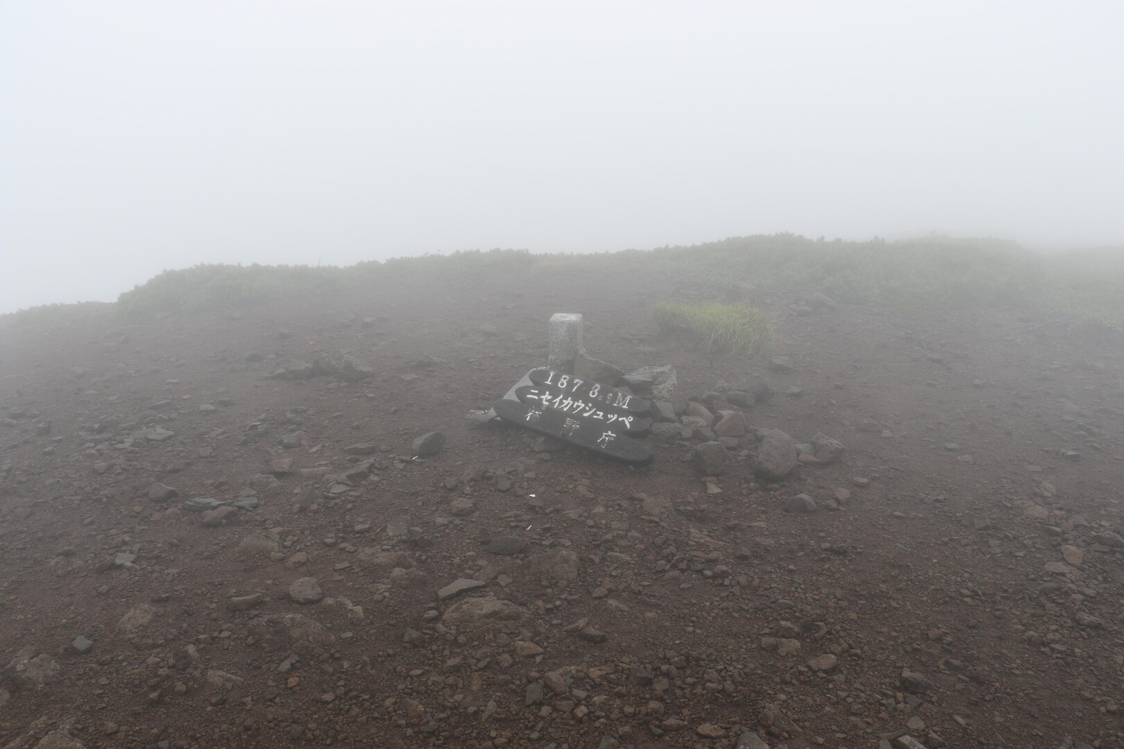 ニセイカウシュッペ山-2024-08-24 / fs-fan-wrcさんのニセイカウシュッペ山・平山・朝陽山の活動データ | YAMAP / ヤマップ