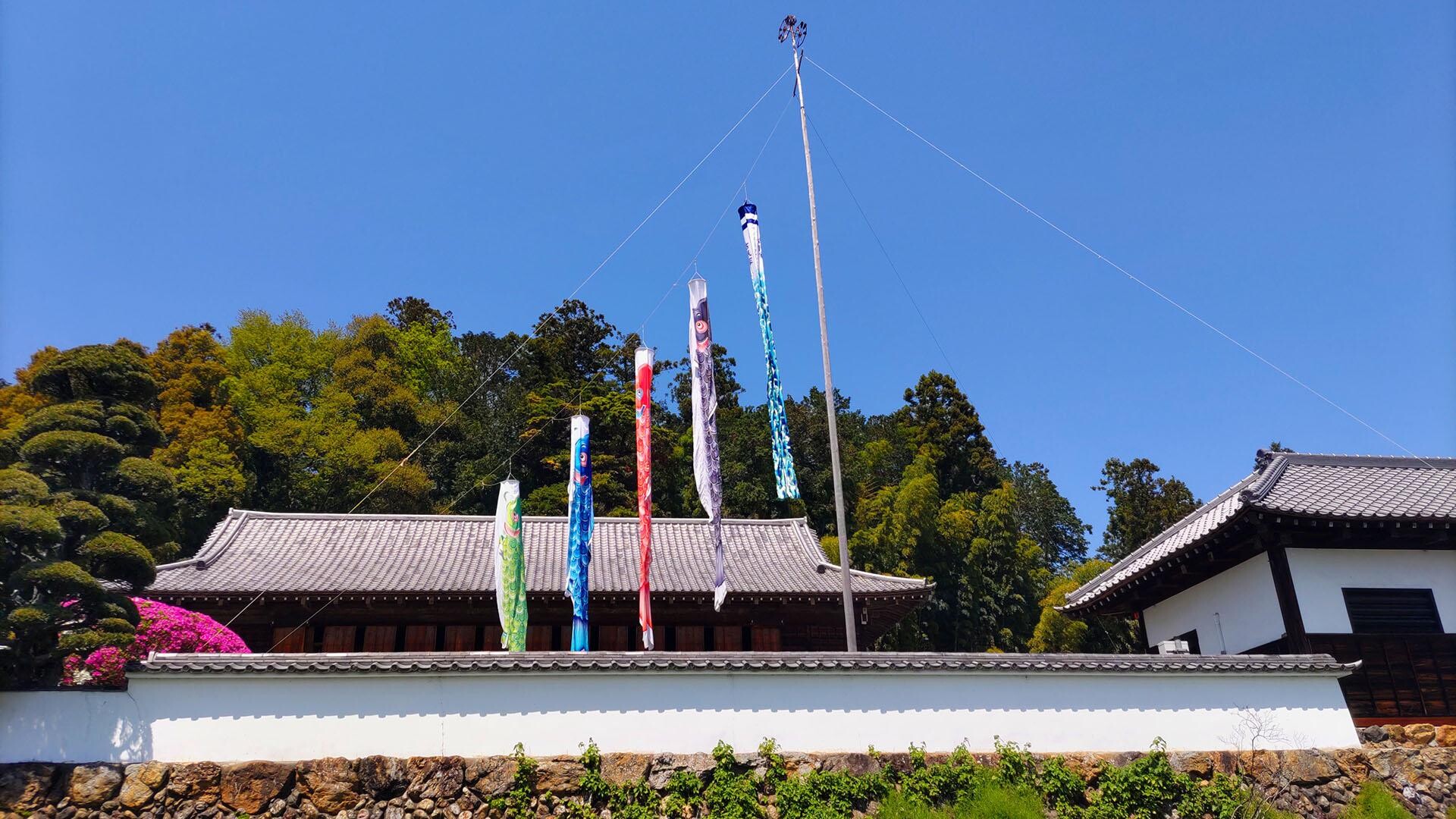 GWは日和田山でランチハイキング / zukiさんの日和田山・物見山の活動データ | YAMAP / ヤマップ