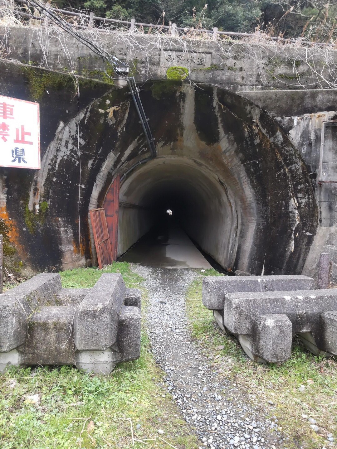 【ビワニ】第4段・山本山～賤ヶ岳縦走で禊三昧 / Mt.OKA🎃さんの賤ヶ岳・山本山の活動データ | YAMAP / ヤマップ